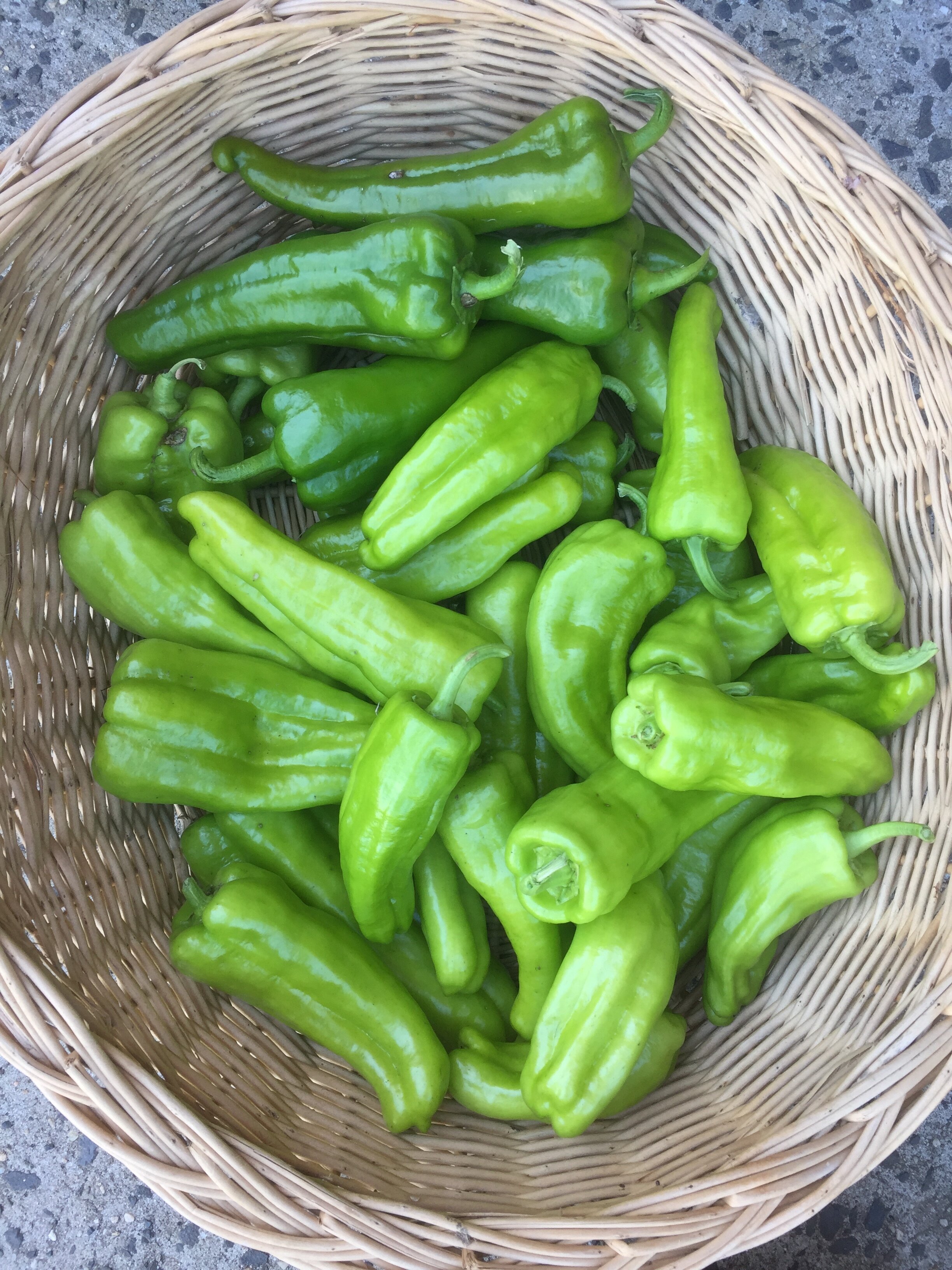 Menu 1 — This Must be The Farm