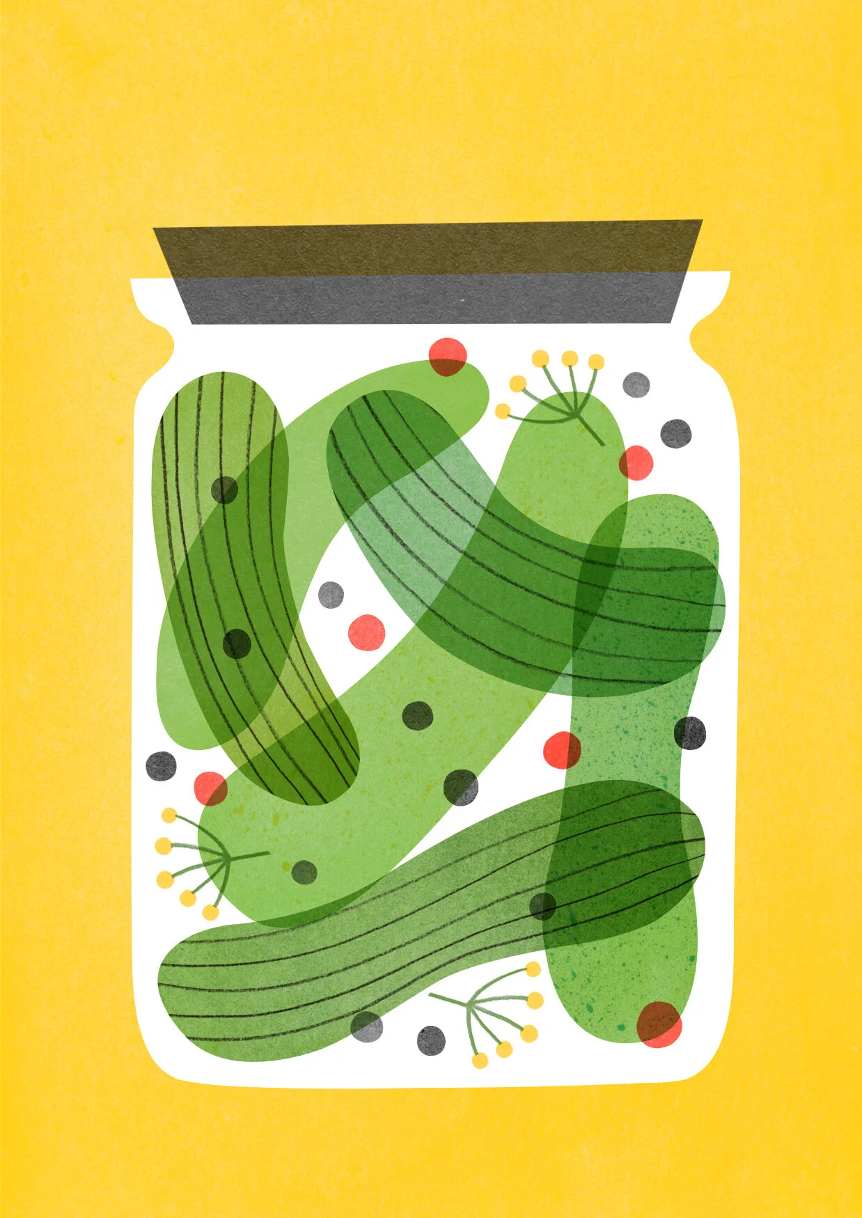 Alys Paterson - Illustration & Design