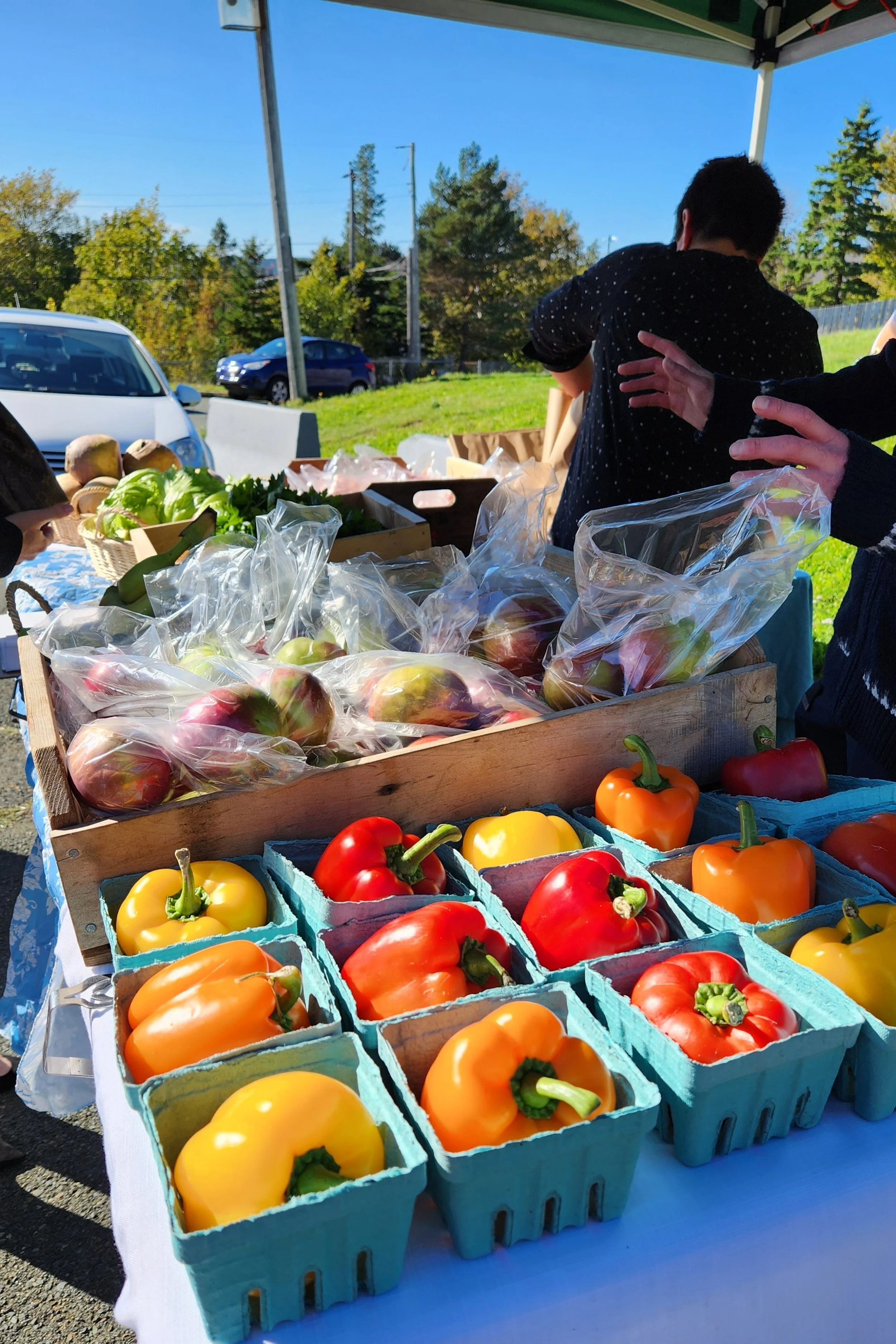 Upcoming Food on the Move Pop-Ups — St. John's Food Projects
