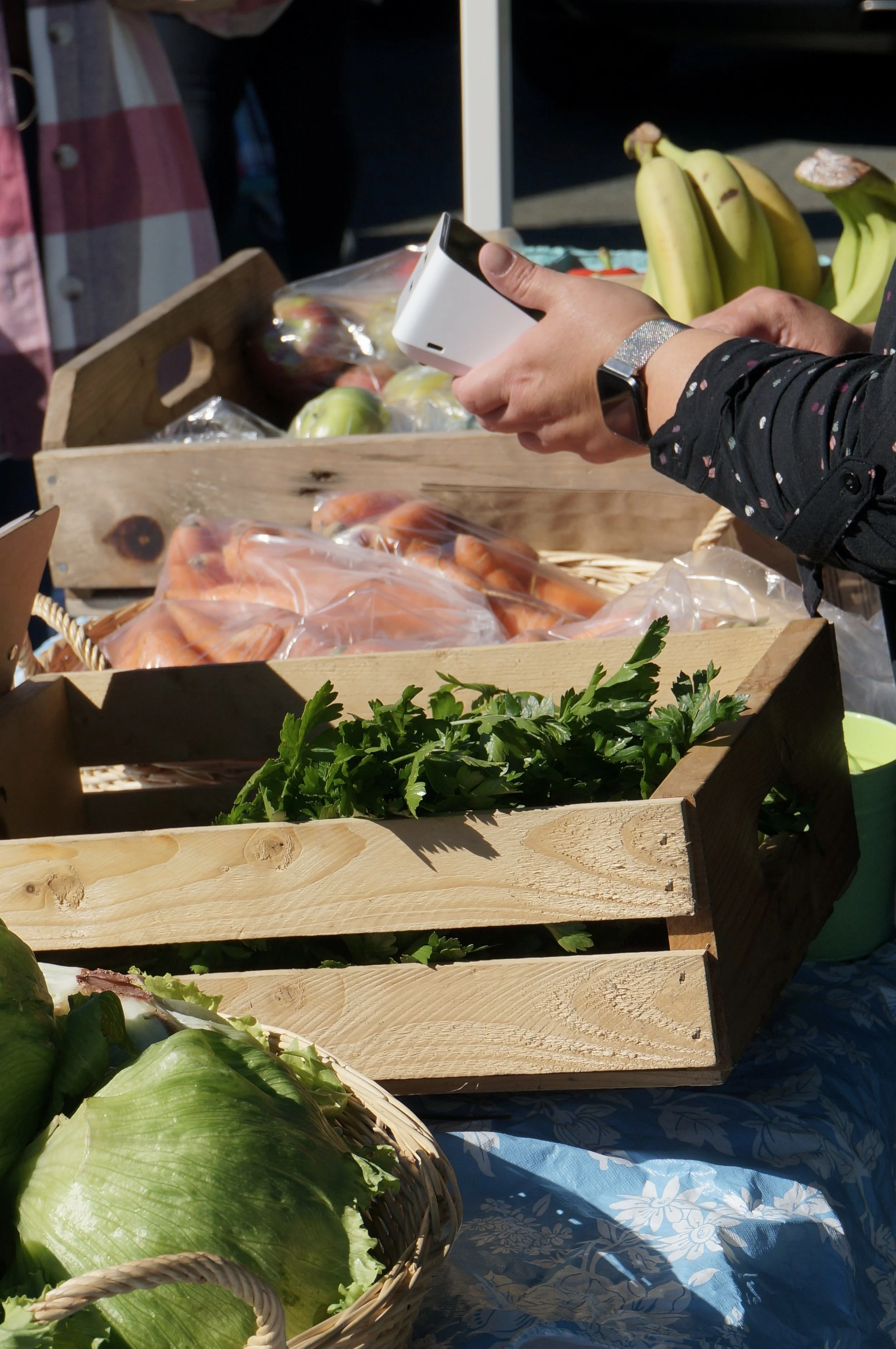 Frequently Asked Questions about Food on the Move — St. John's Food ...