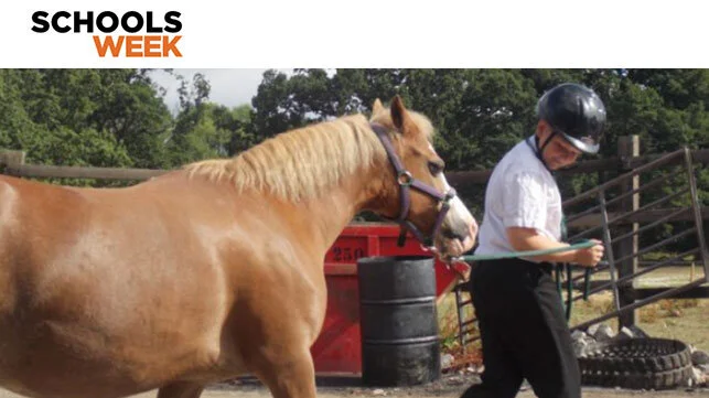 Strength & Learning Through Horses | Equine Assisted Therapy
