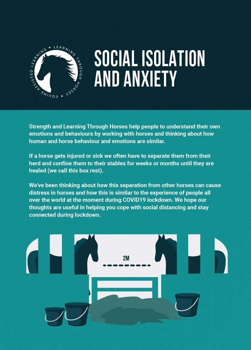 Social isolation and anxiety. - Strength & Learning Through Horses
