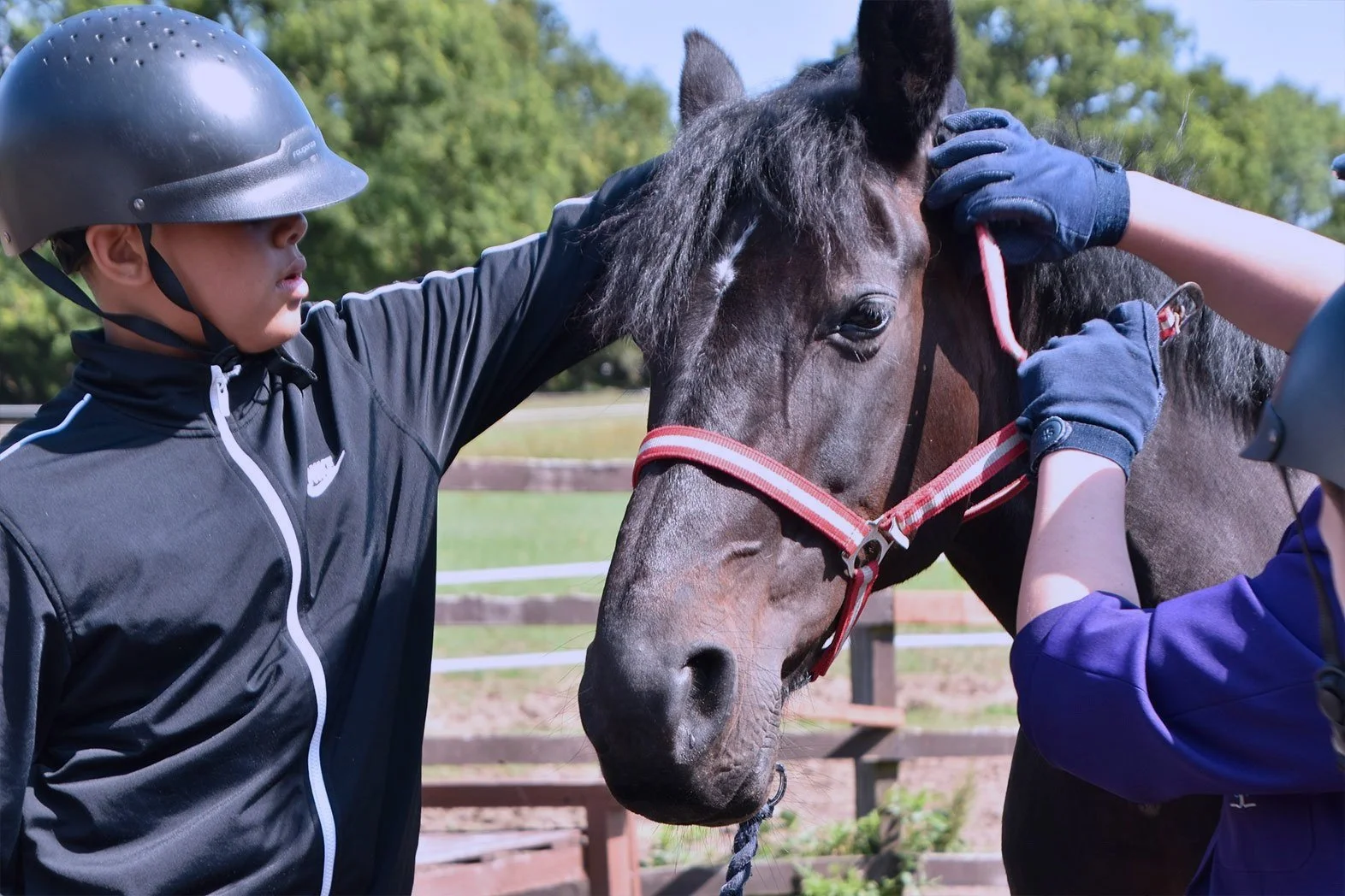 Strength & Learning Through Horses | Equine Assisted Therapy