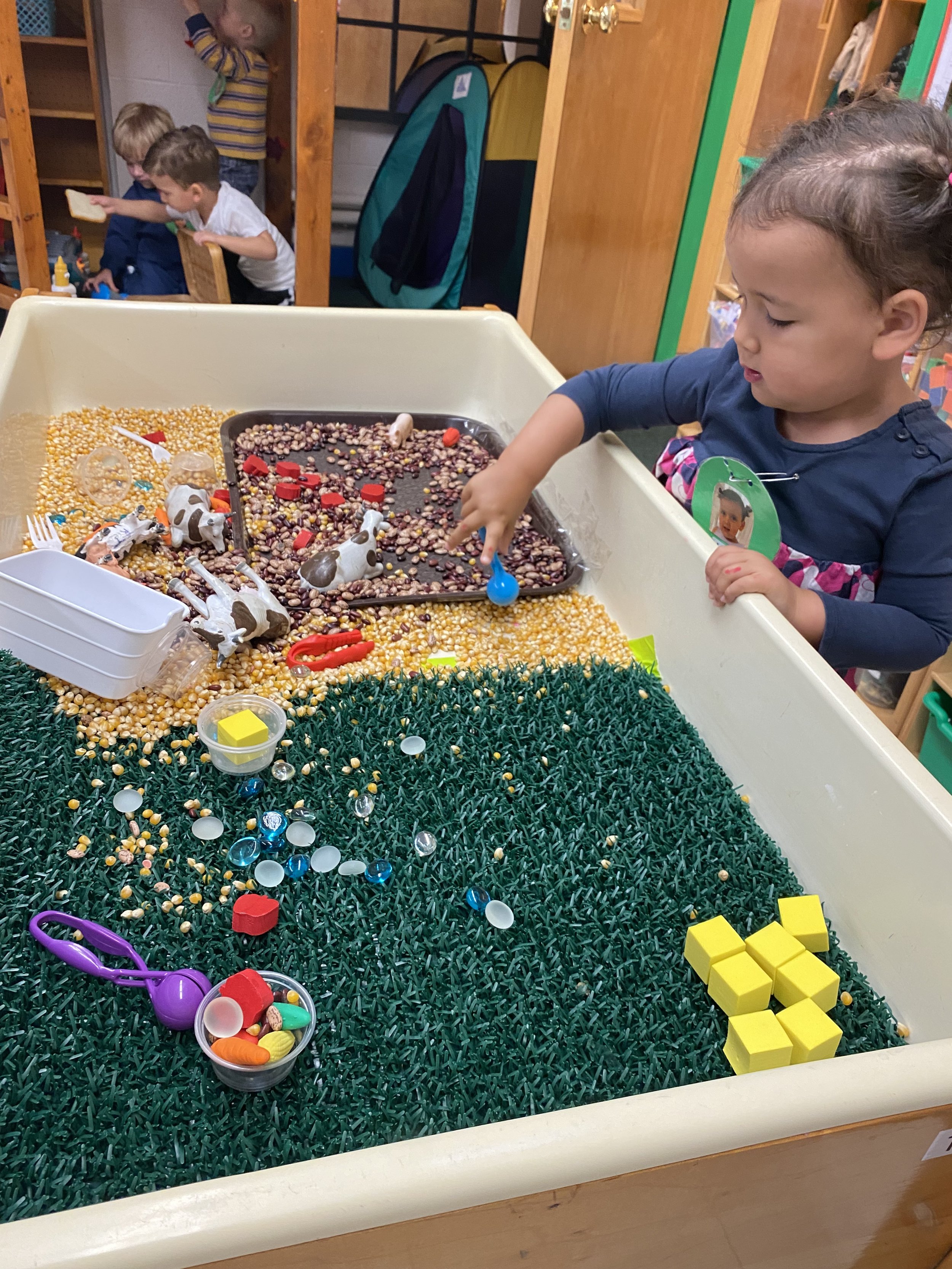 Apple Season — Lexington MA Preschool & Prekindergarten Program | My Weekday School