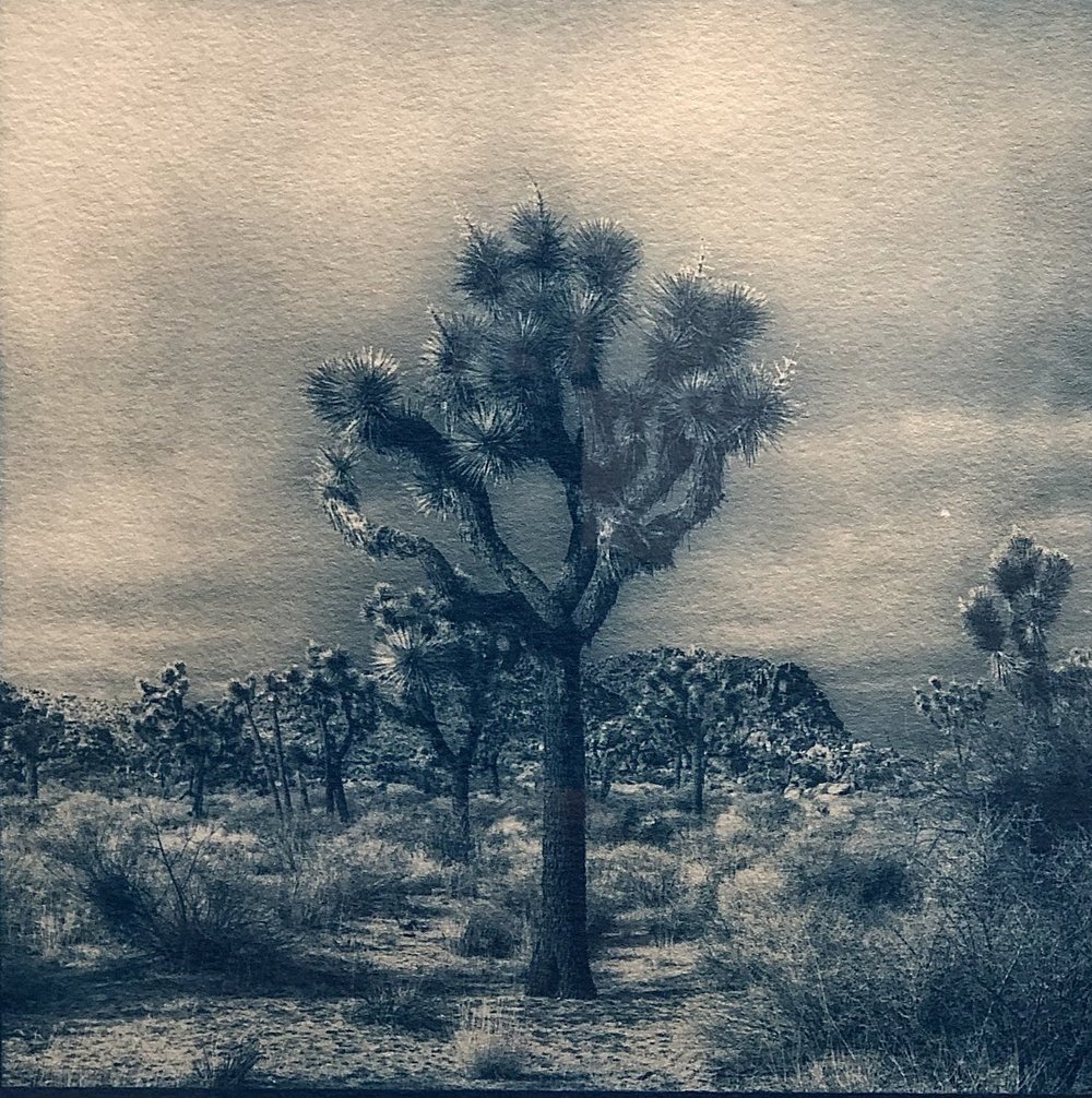 Diablo Valley College Art Gallery