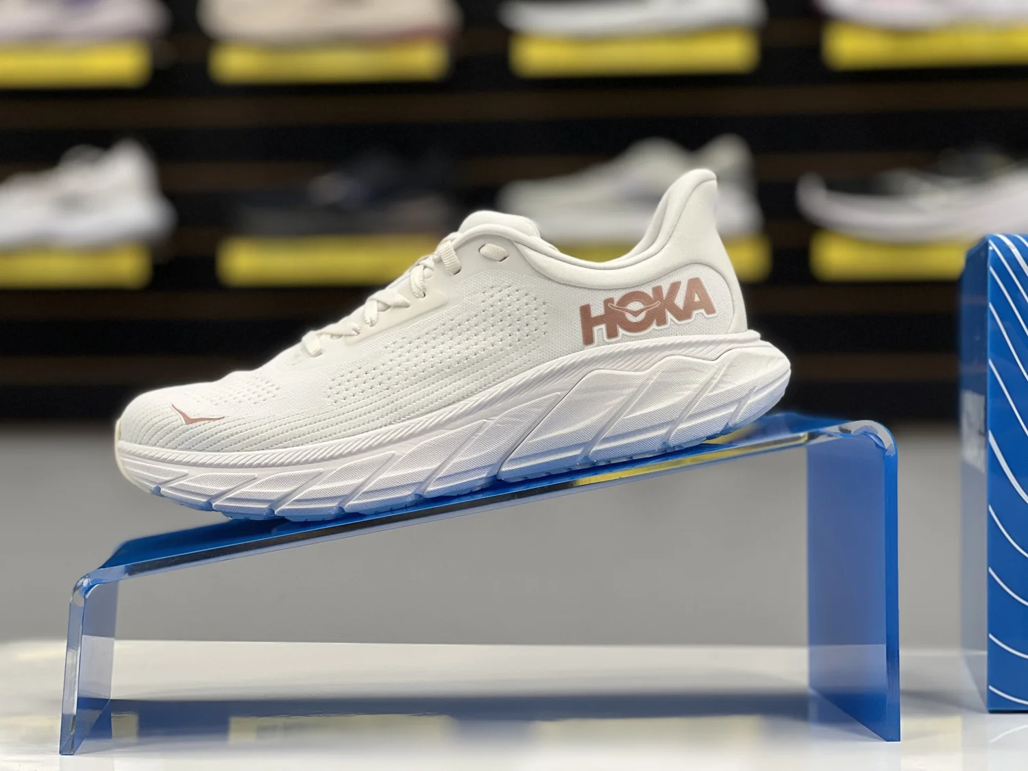 The Human Race Sports