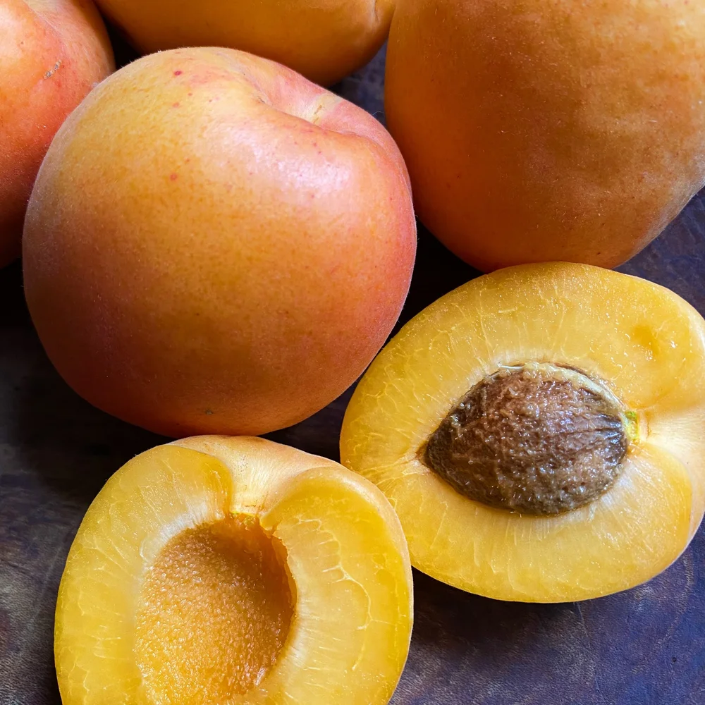 Stone Fruit — Organically Grown Company