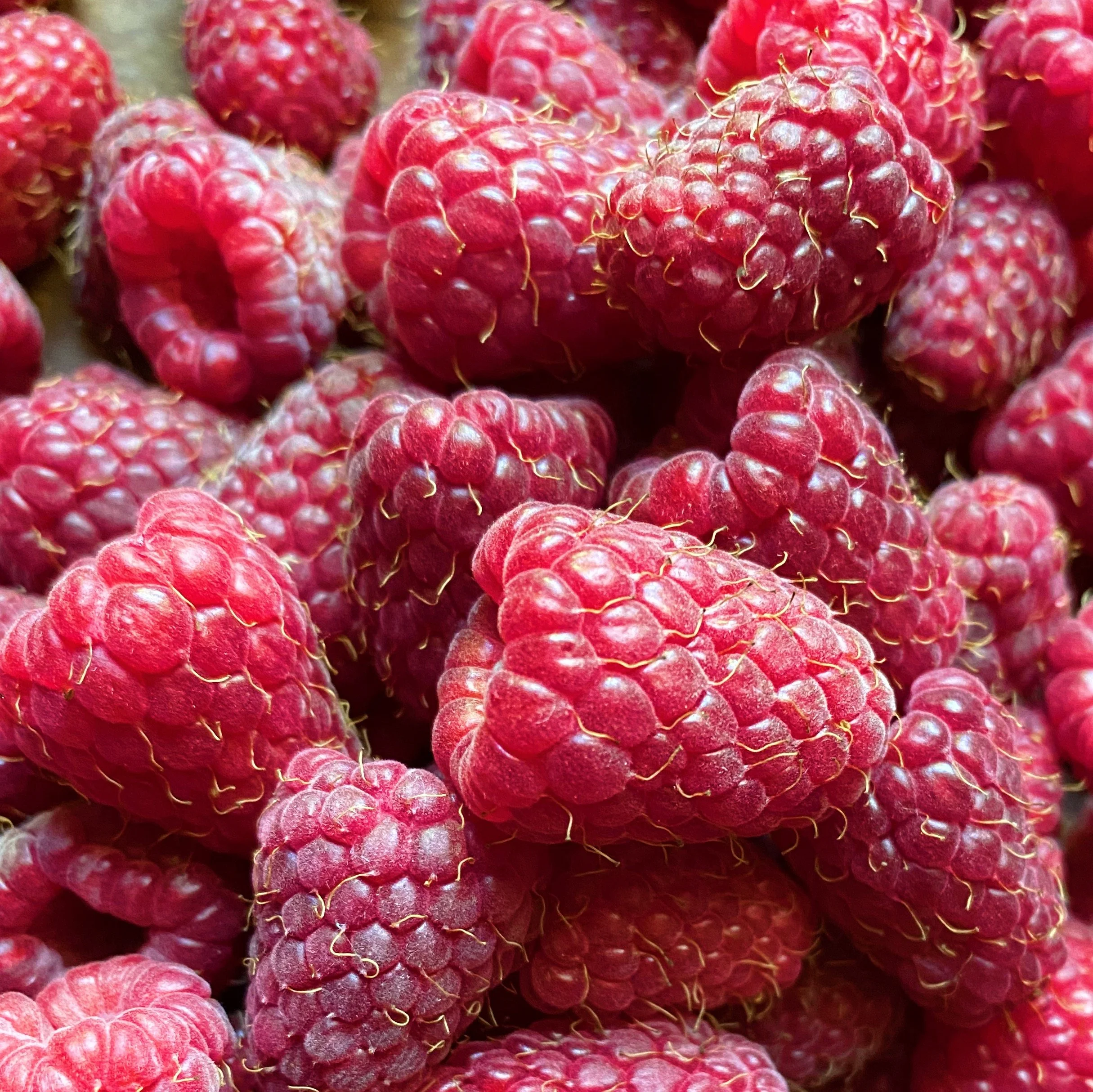 Berry Smart: Balancing Margins & Seasonal Insight to Grow Sales ...