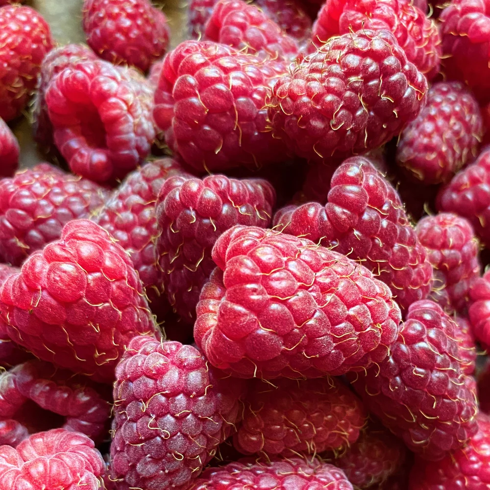 Berry Smart: Balancing Margins & Seasonal Insight to Grow Sales ...