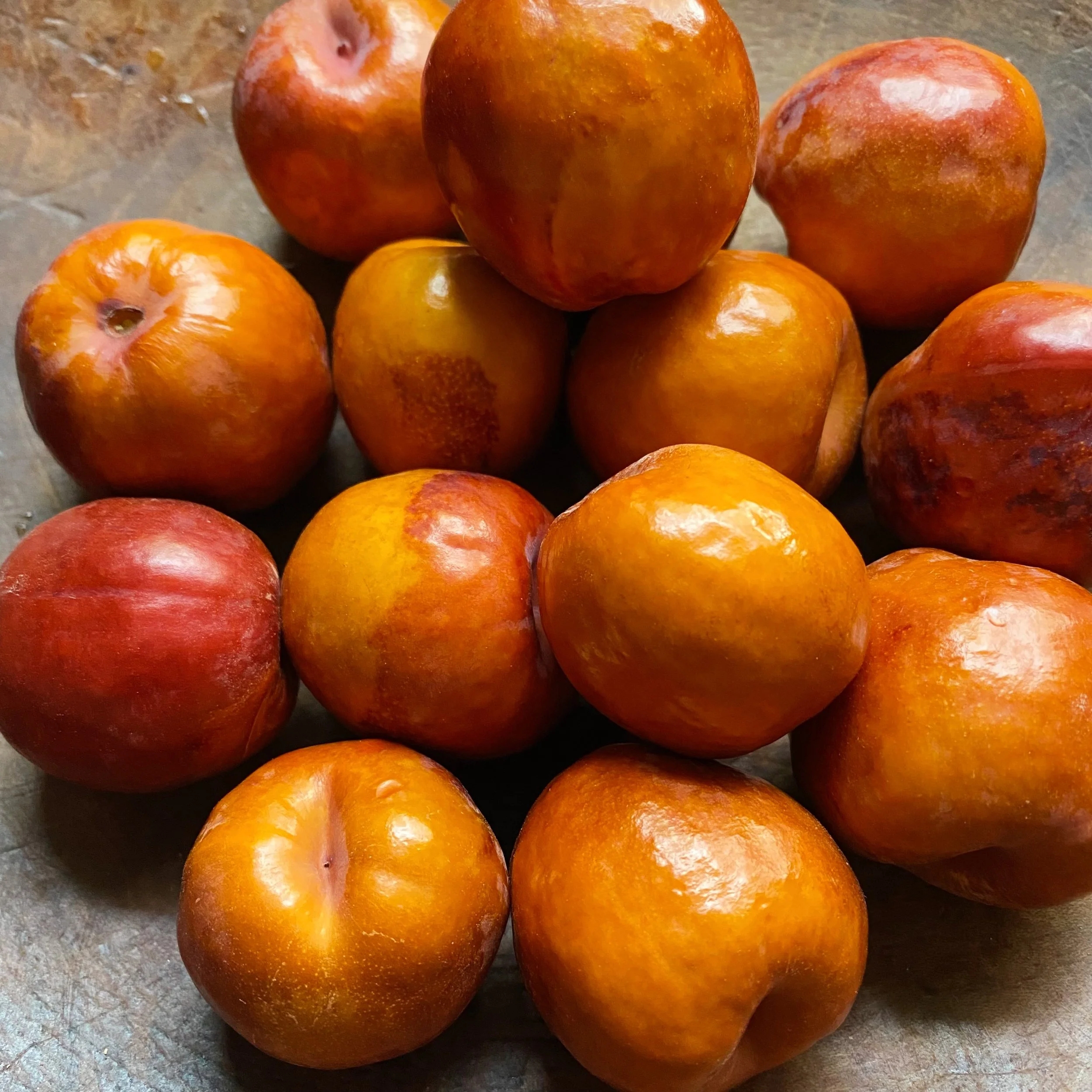 Introduce Eaters to Jujube Fruit — Organically Grown Company