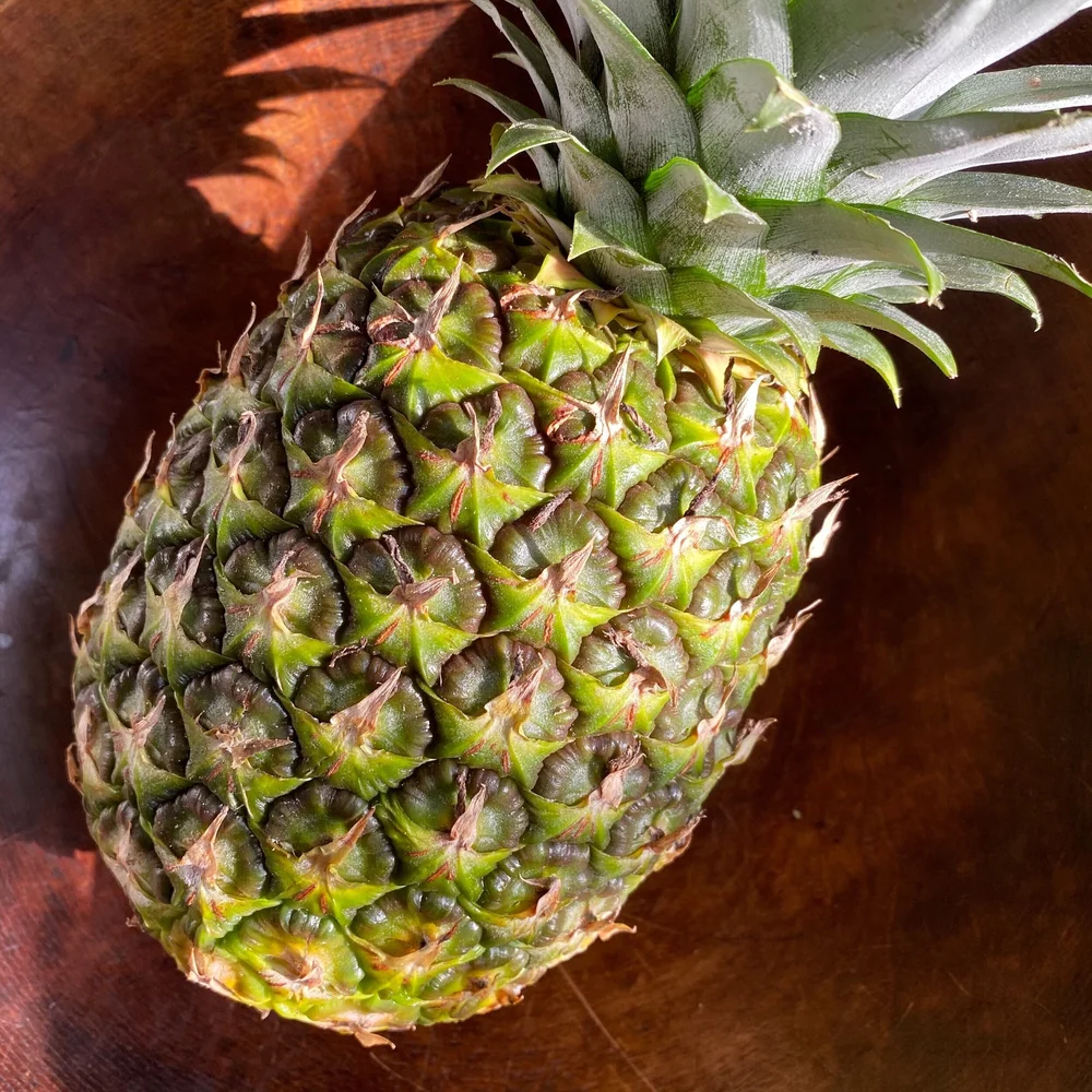 Organically Grown Company