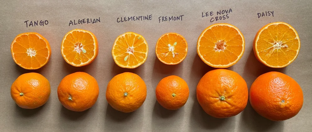 Small Round Orange Things — Organically Grown Company