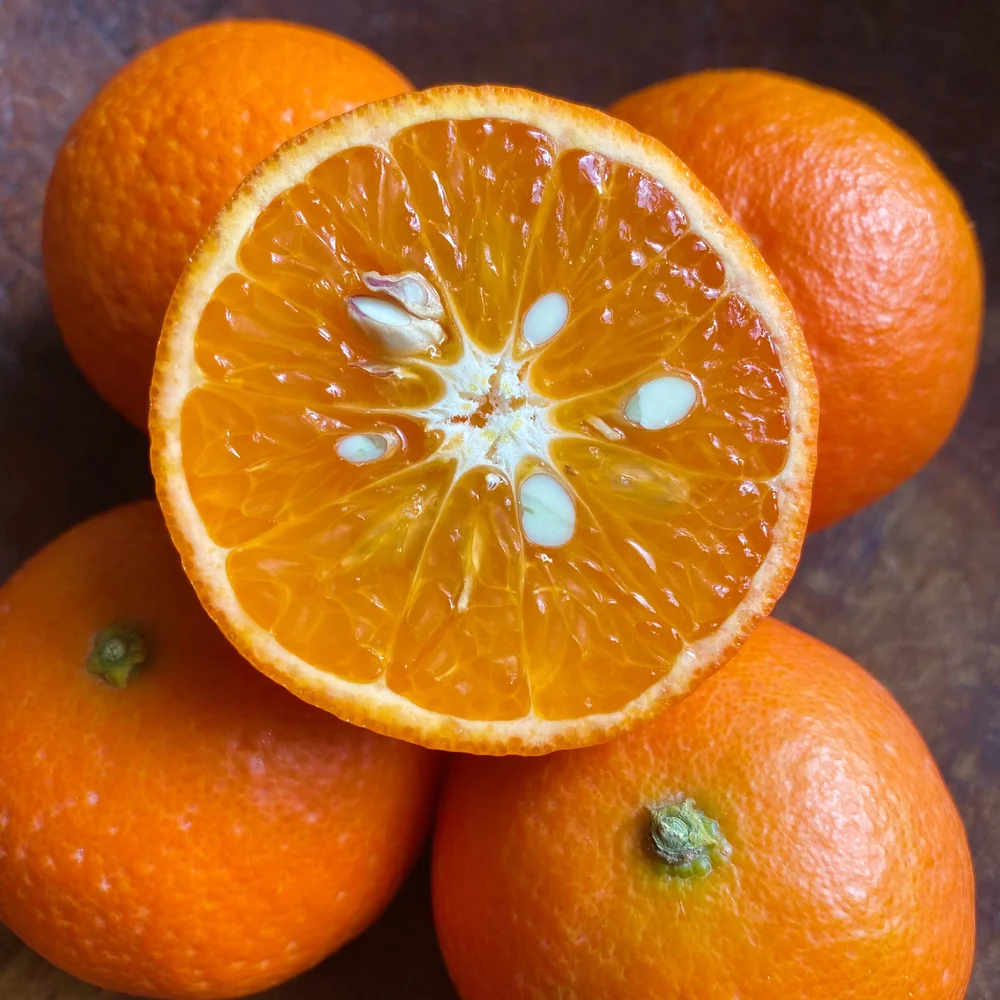 Small Round Orange Things — Organically Grown Company