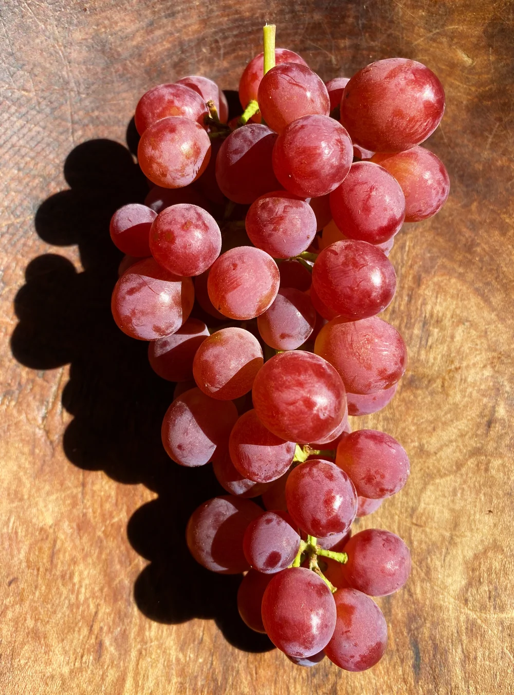 NW Grape Season, Short & Sweet! — Organically Grown Company