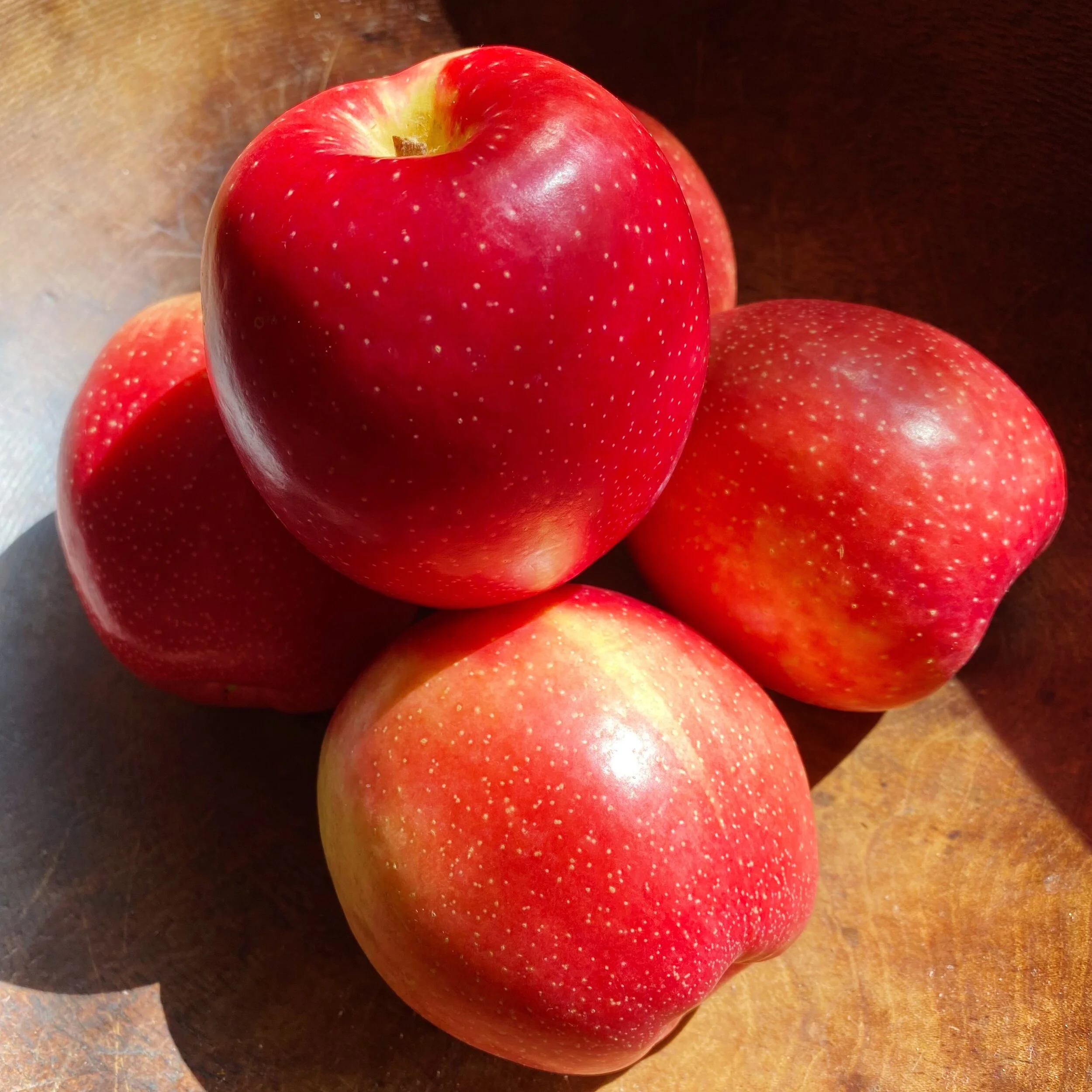 Stock These Five Early-Season Apples! — Organically Grown Company