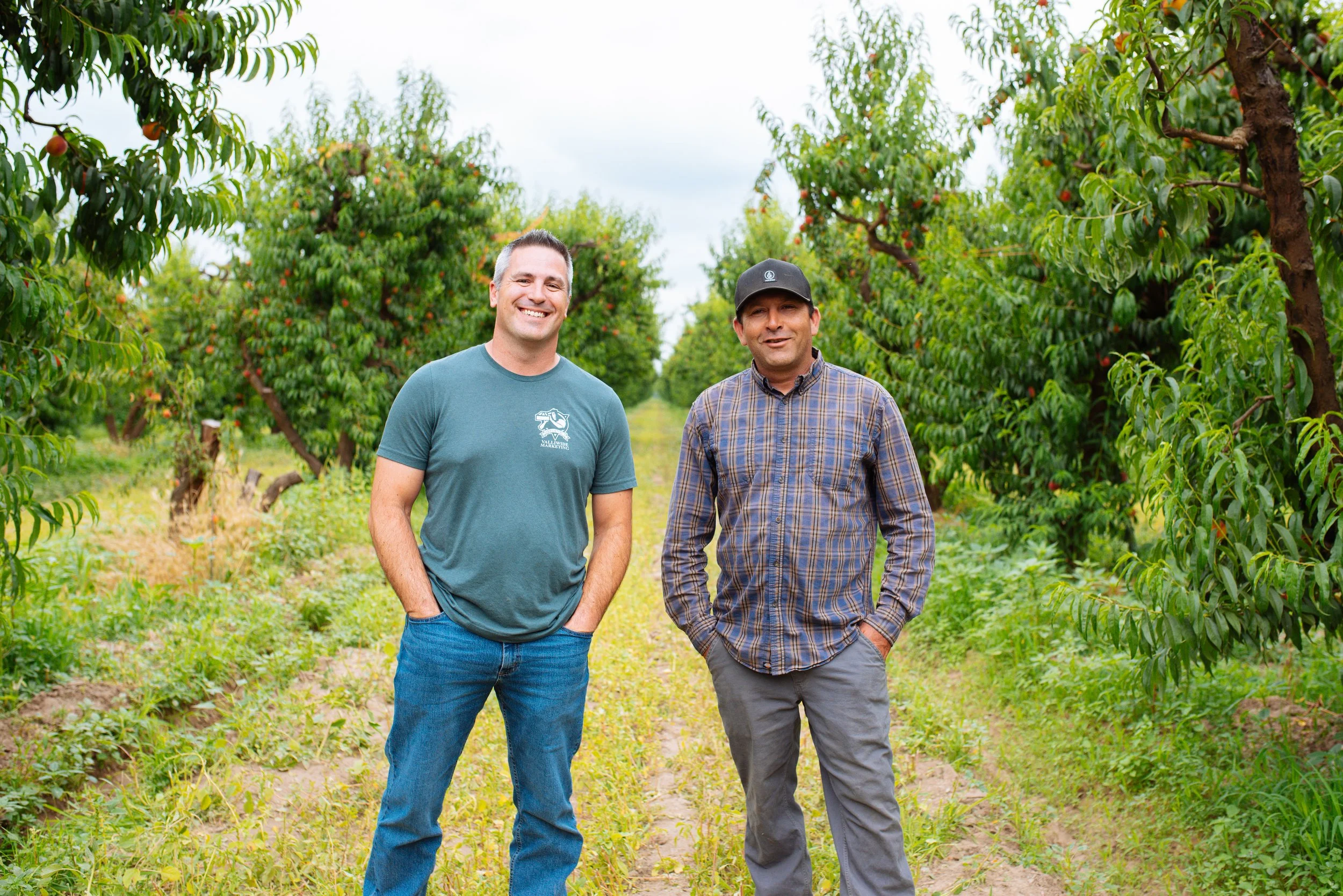 OGC Visits Longtime Stone Fruit Grower Partners in California ...