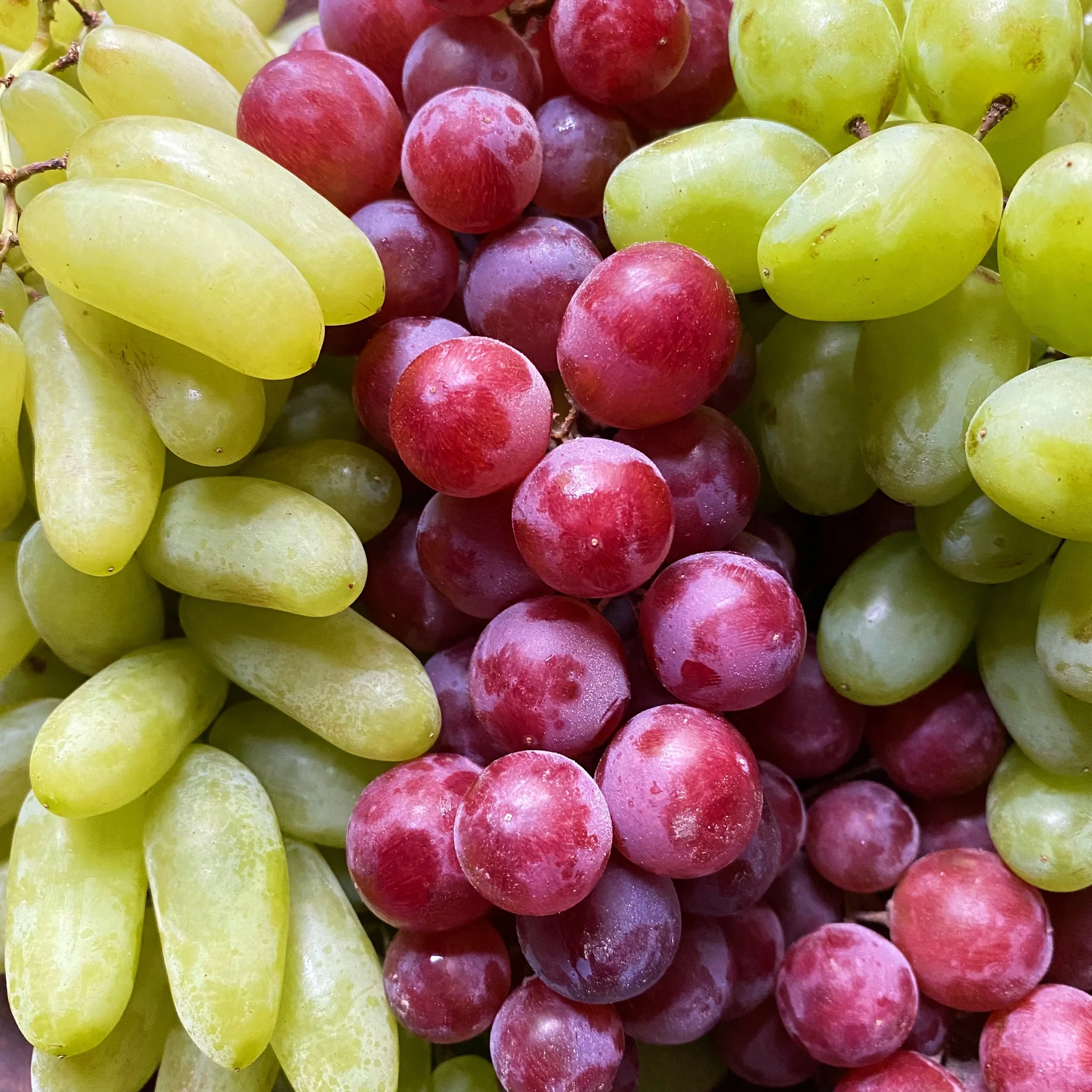 Keep Summer Alive with Late-Summer Produce — Organically Grown Company