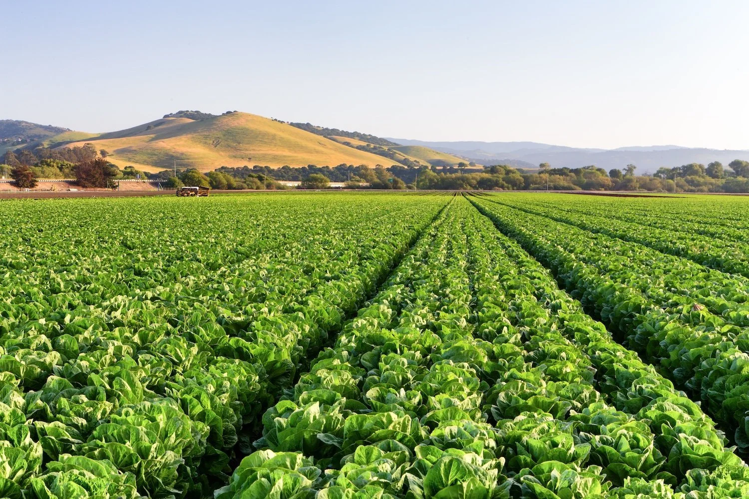 Organically Grown Company