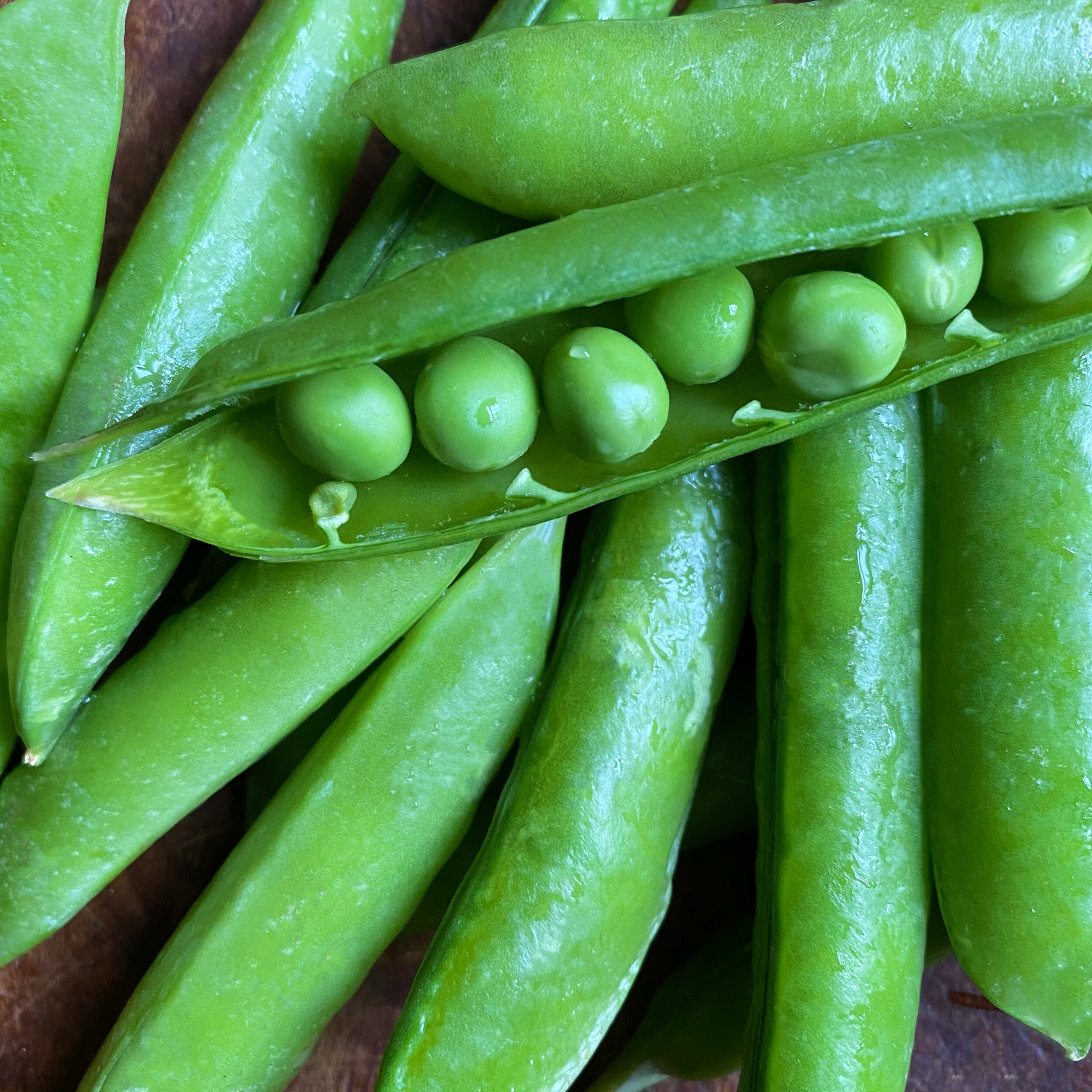 Spring Produce — Organically Grown Company