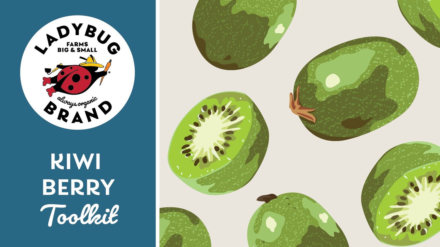 Kiwi Berry Toolkit — Organically Grown Company