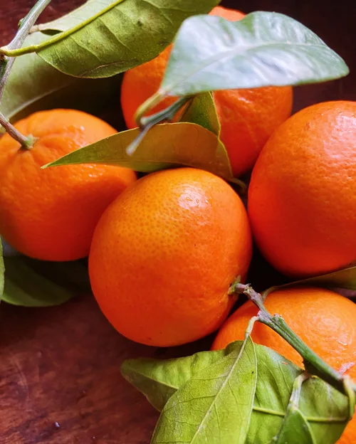 Harvesting Wisdom: Squeeze the Best Out of Citrus Season — Organically ...