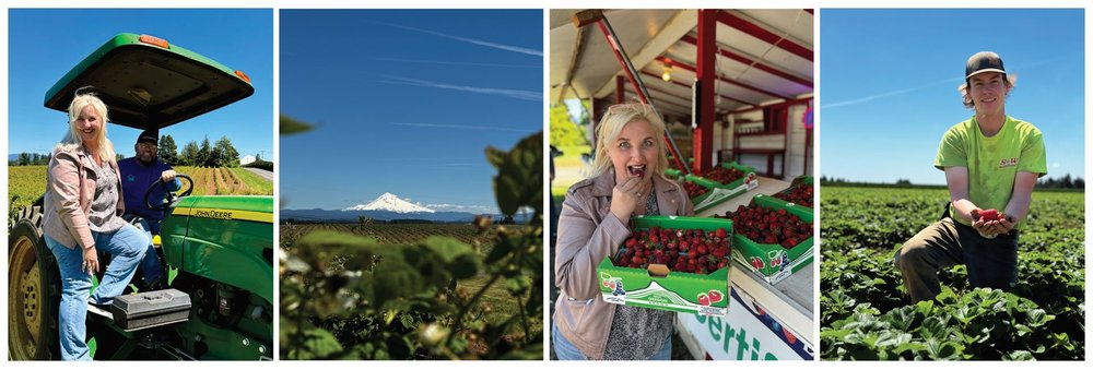 Liepold Farms: A Berry Sweet Legacy — Organically Grown Company