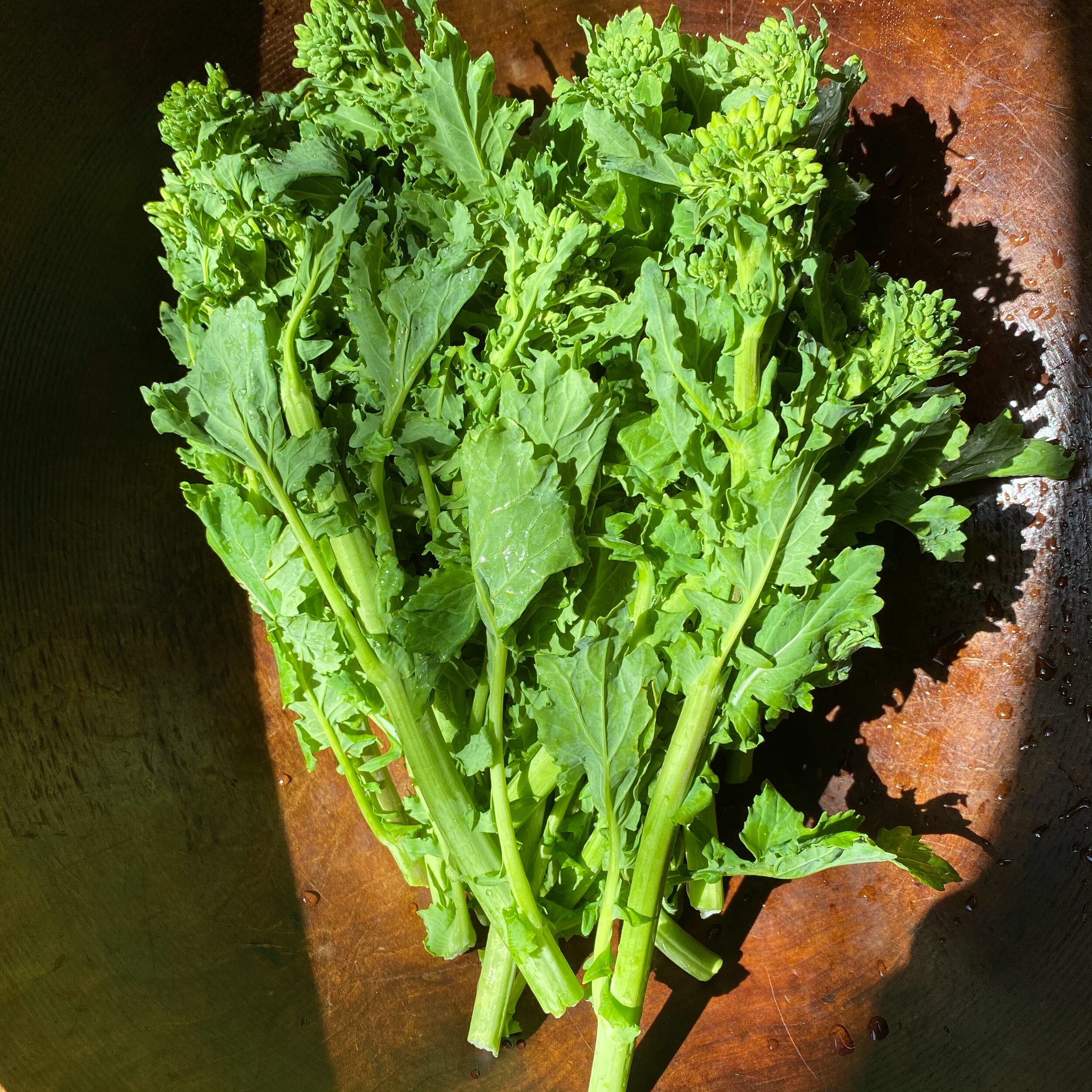 Spring Produce — Organically Grown Company