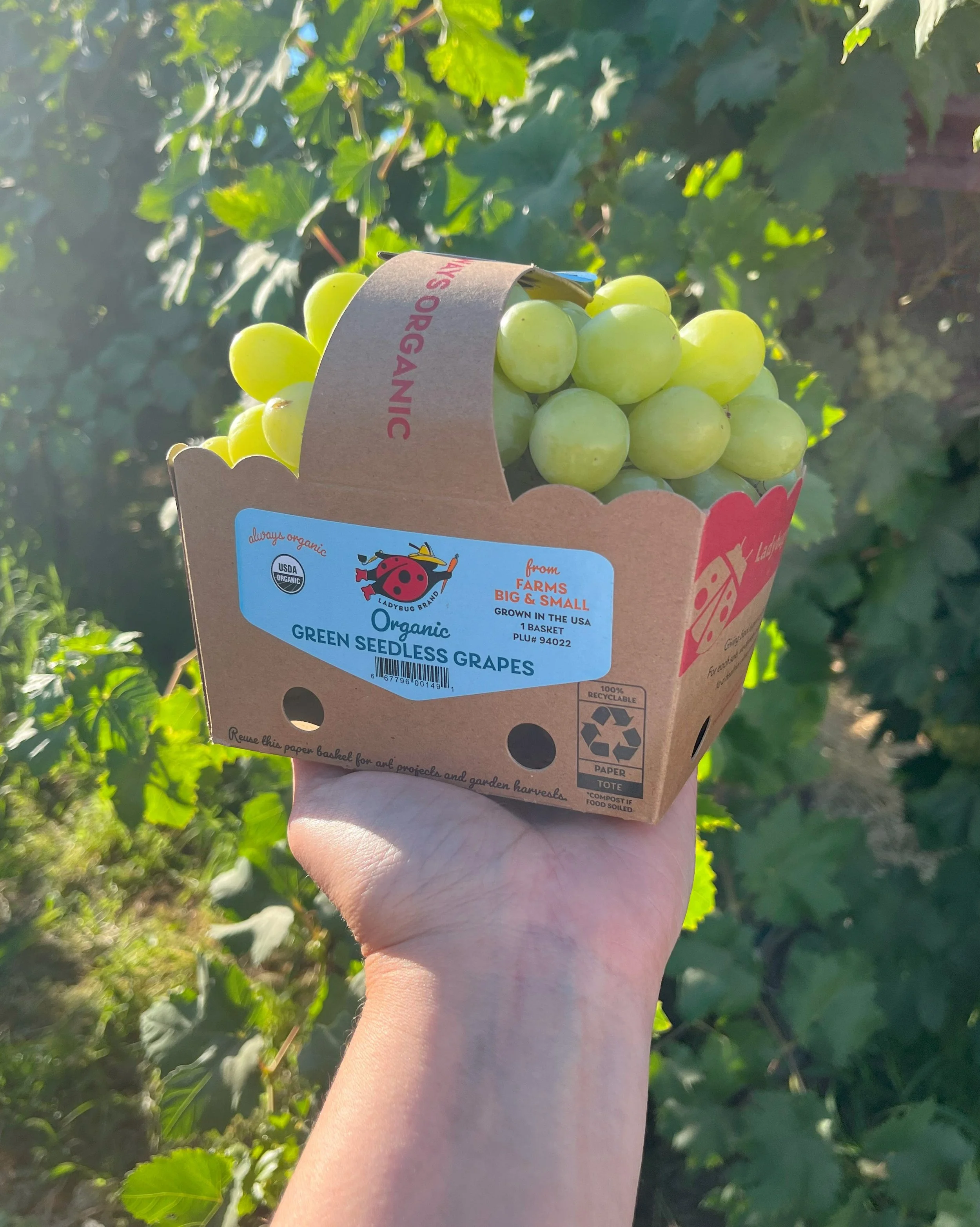 New Ladybug Brand Seedless Grape Totes — Organically Grown Company