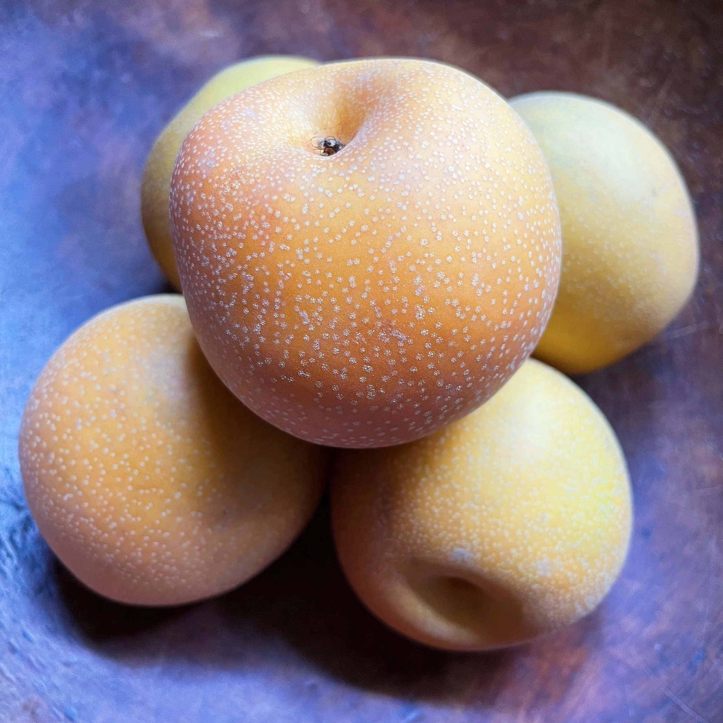 Autumn — Organically Grown Company