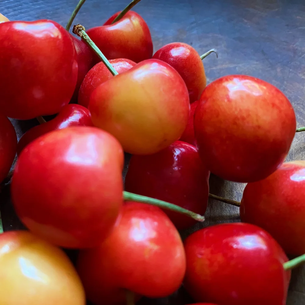 Stone Fruit — Organically Grown Company