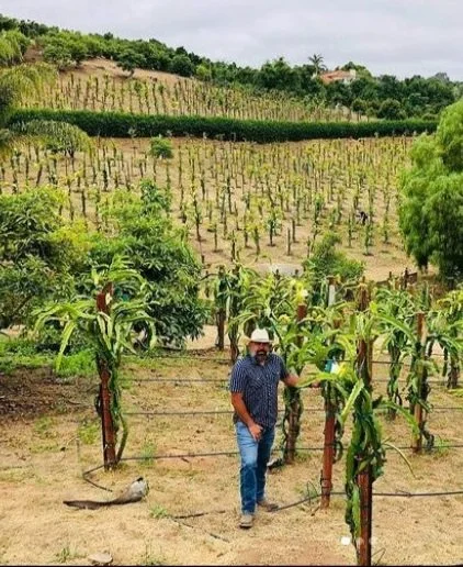 Rainbow Valley Orchards: Working To Make Organic Easy — Organically ...