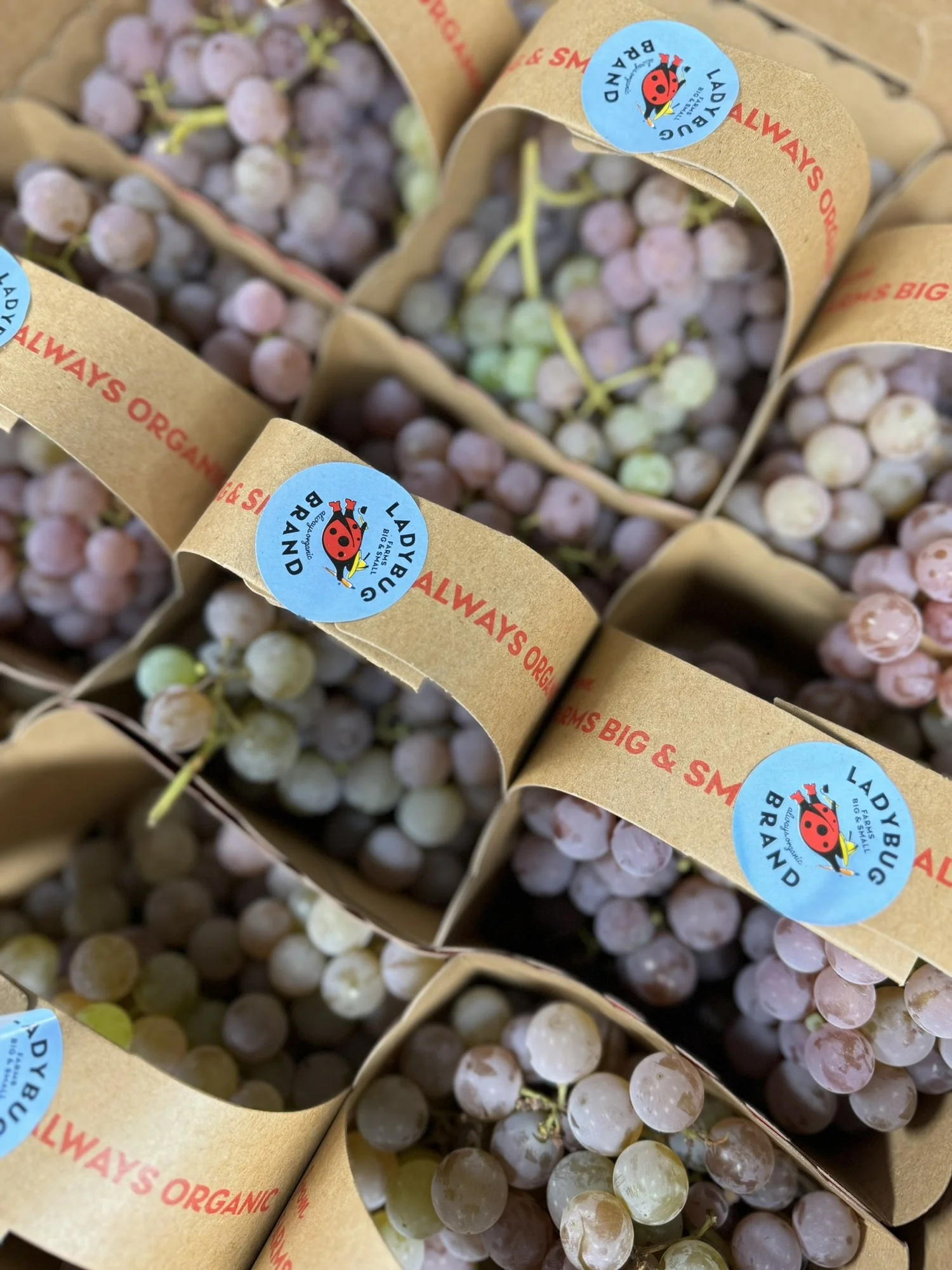 Grape Toolkit — Organically Grown Company