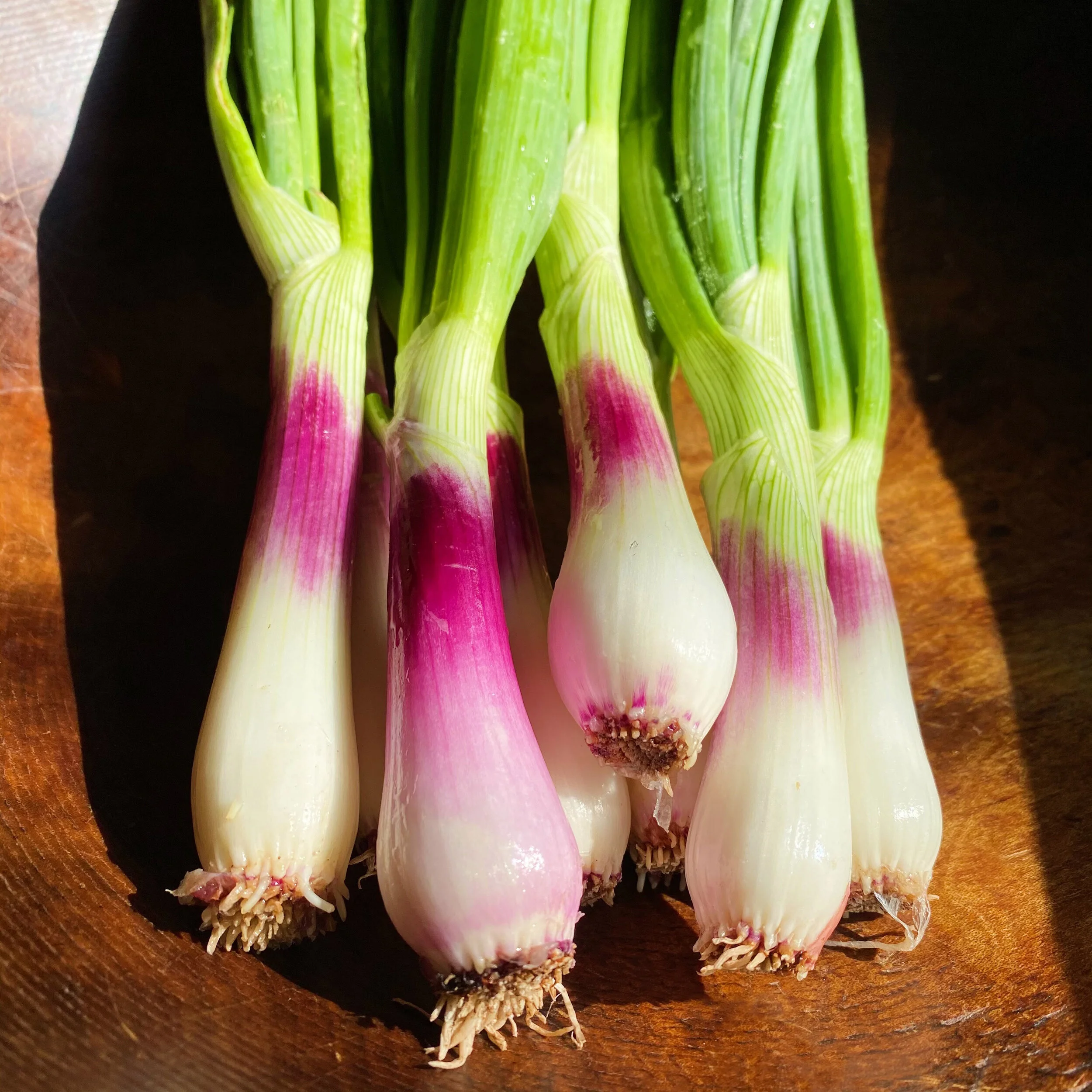 Spring Produce — Organically Grown Company