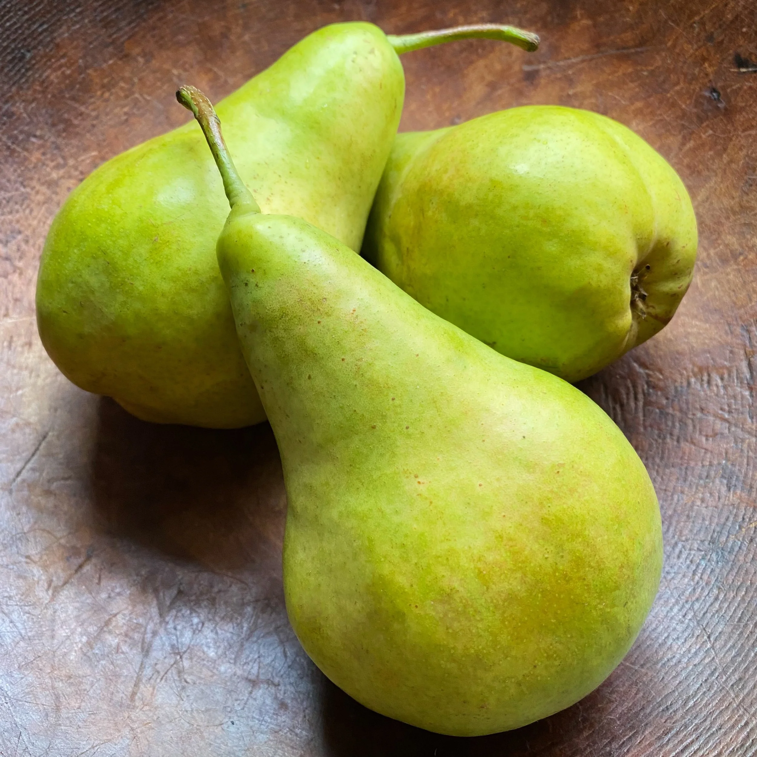 Autumn — Organically Grown Company