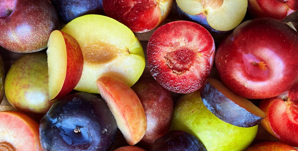 There’s Plenty of Pretty Plums & Pluots! — Organically Grown Company