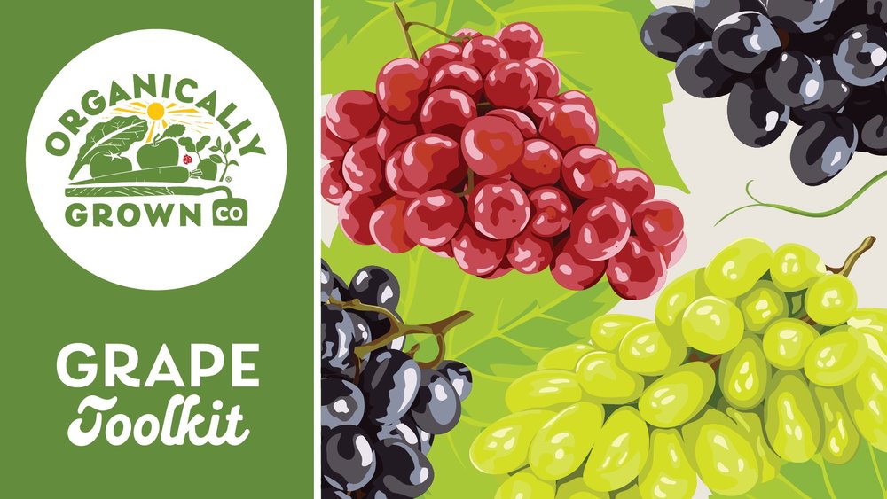 Grape Toolkit — Organically Grown Company