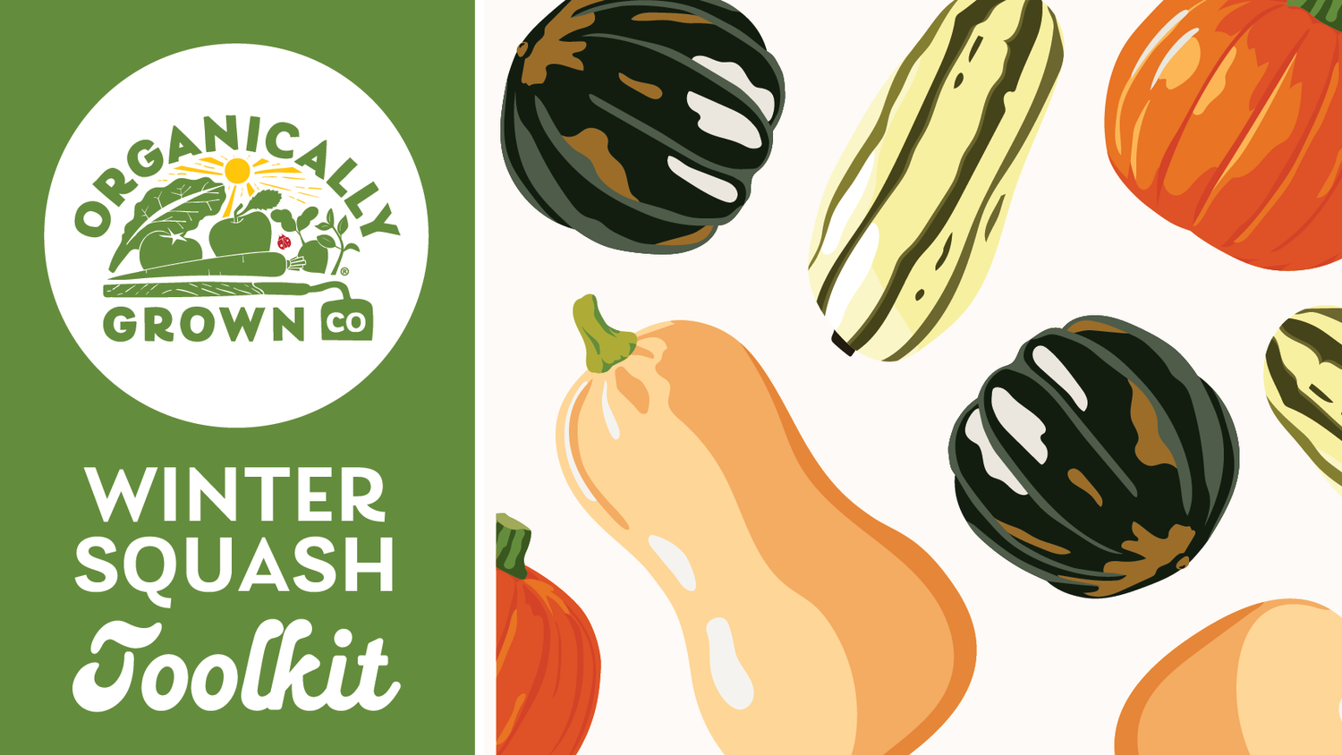 Winter Squash Toolkit — Organically Grown Company