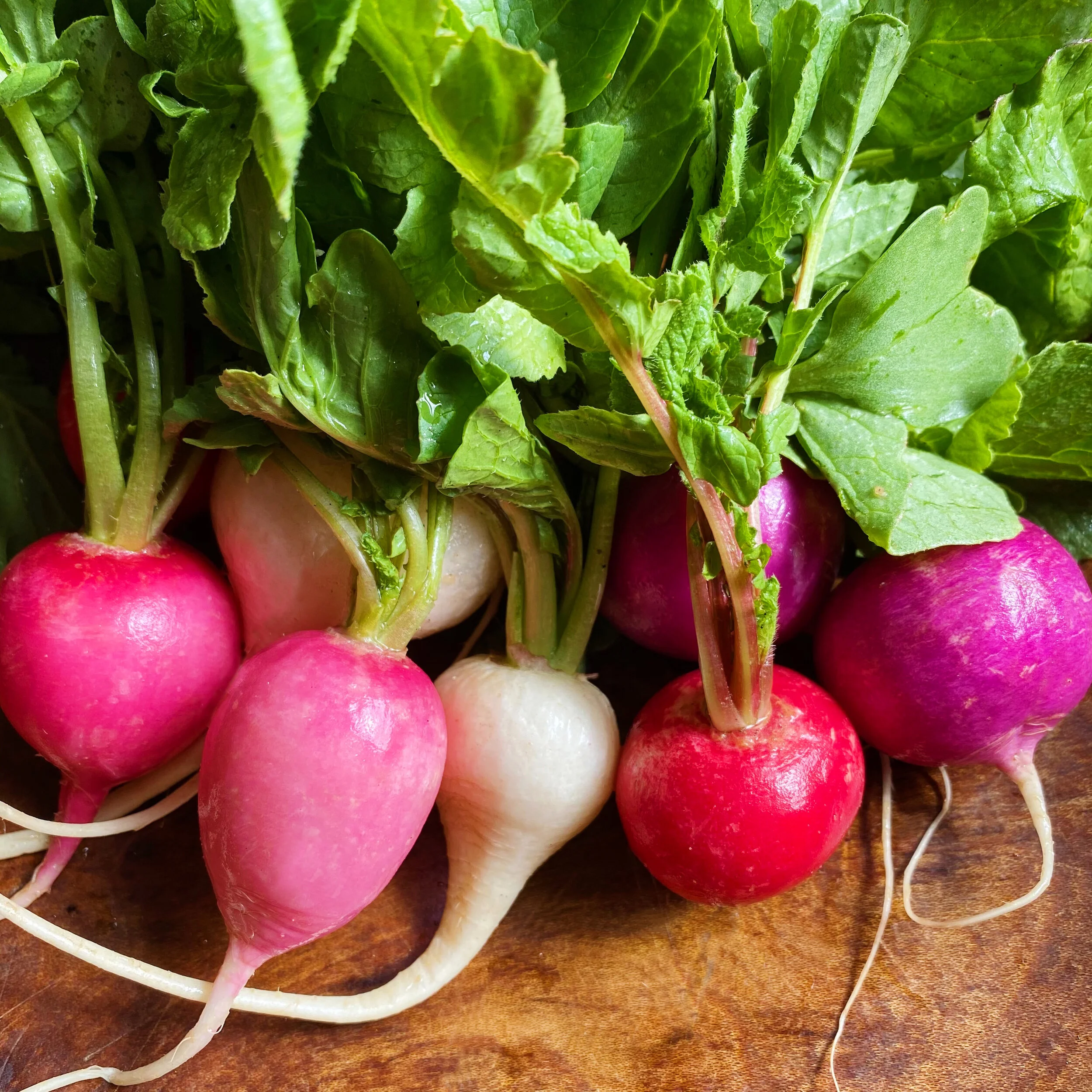 Spring Produce — Organically Grown Company