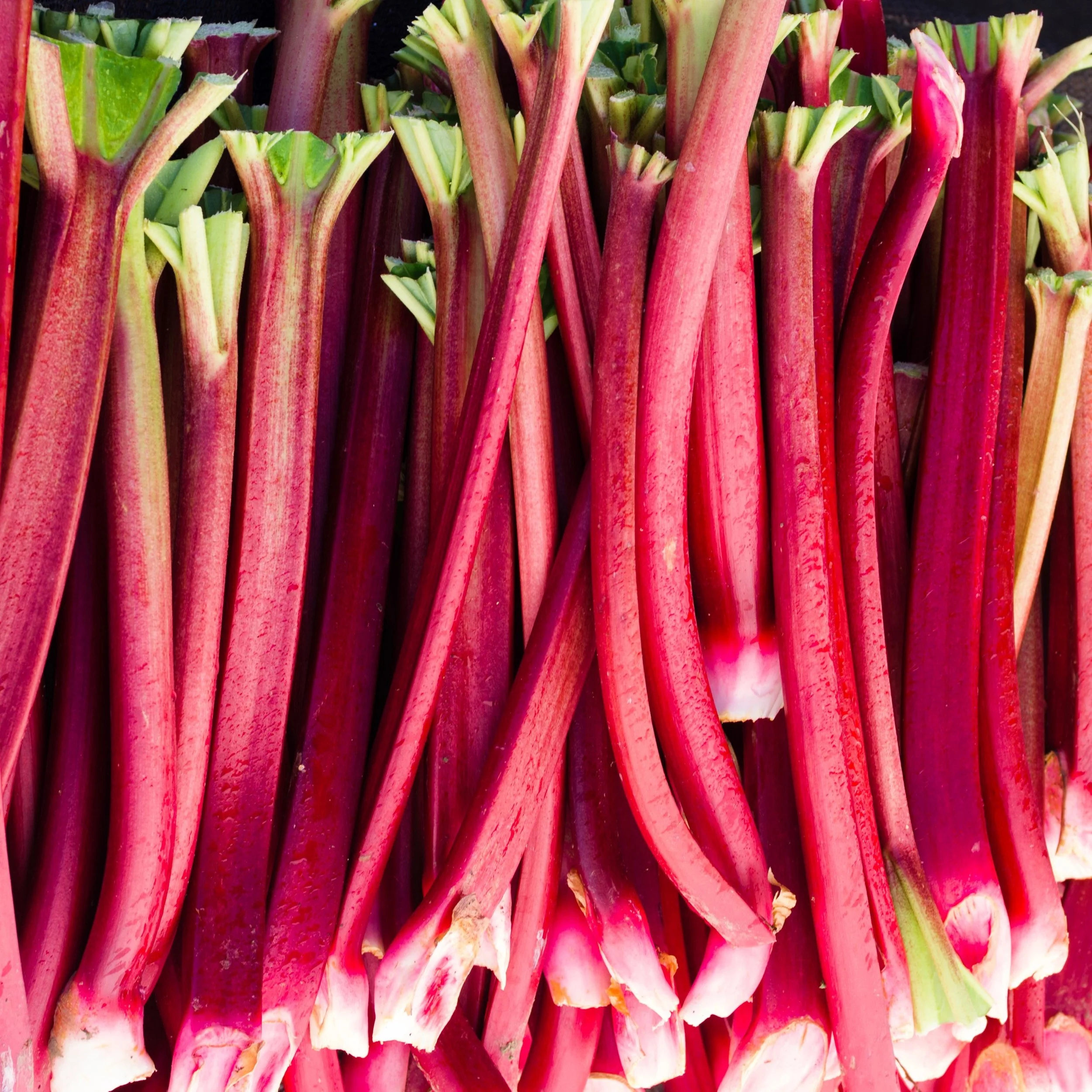 Spring Produce — Organically Grown Company