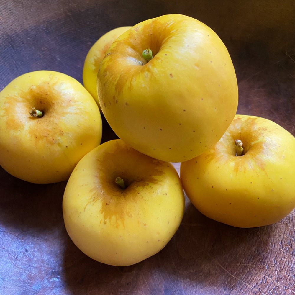 Build a Bountiful Apple Set with These Stand-Out Varieties ...