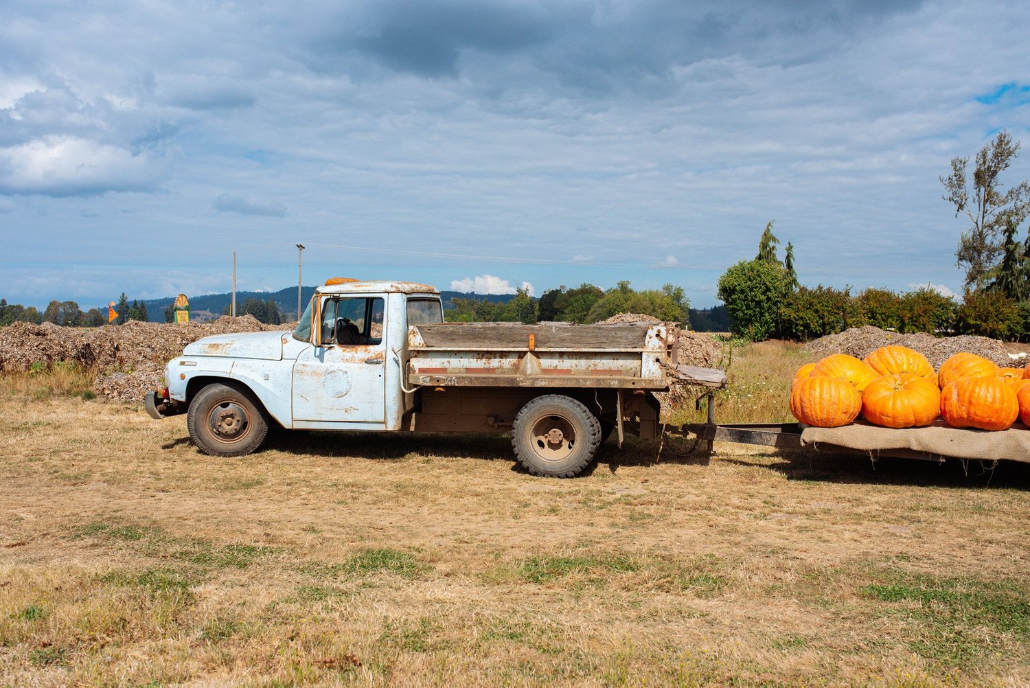Mustard Seed Farms: Giant Pumpkins & More! — Organically Grown Company