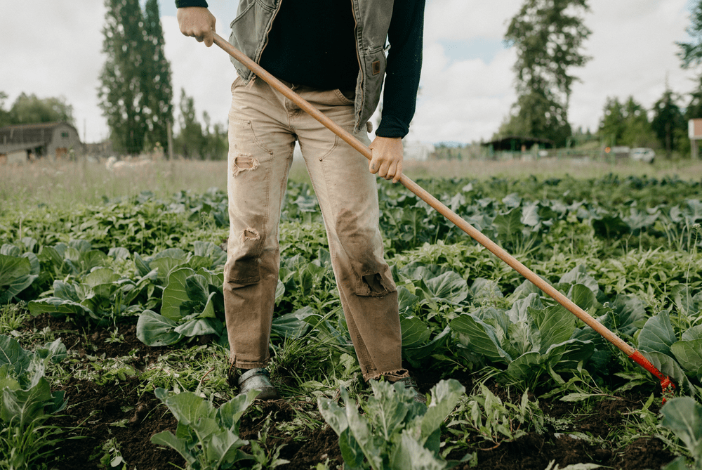 Meet OGC Mission Fund Recipient: Washington Farmland Trust ...
