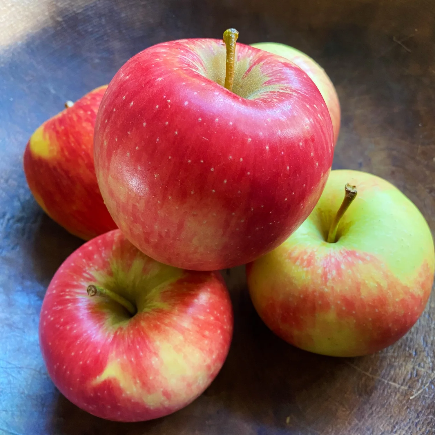 Build a Bountiful Apple Set with These Stand-Out Varieties ...