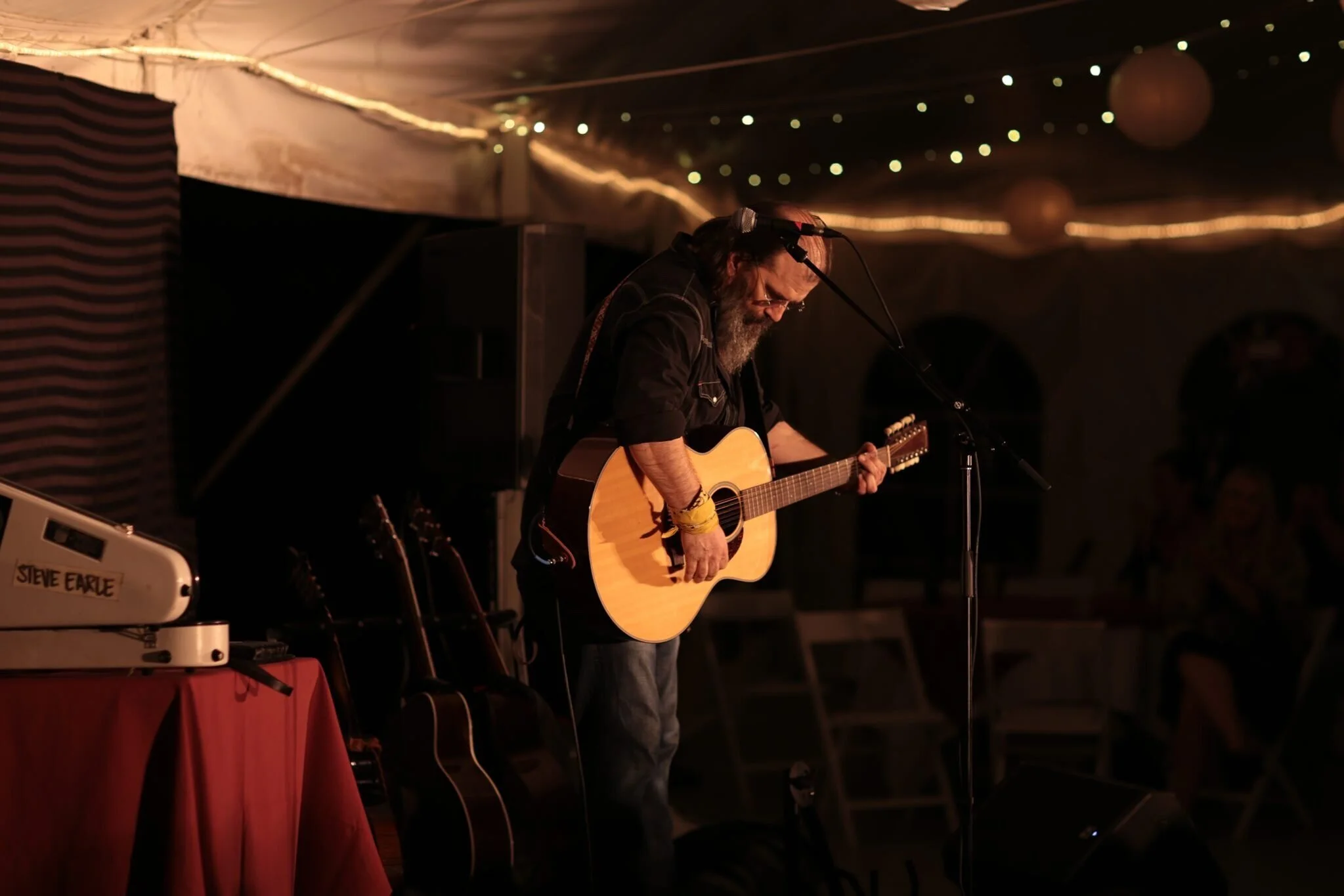 Artists Past and Present — Music Masters Collective