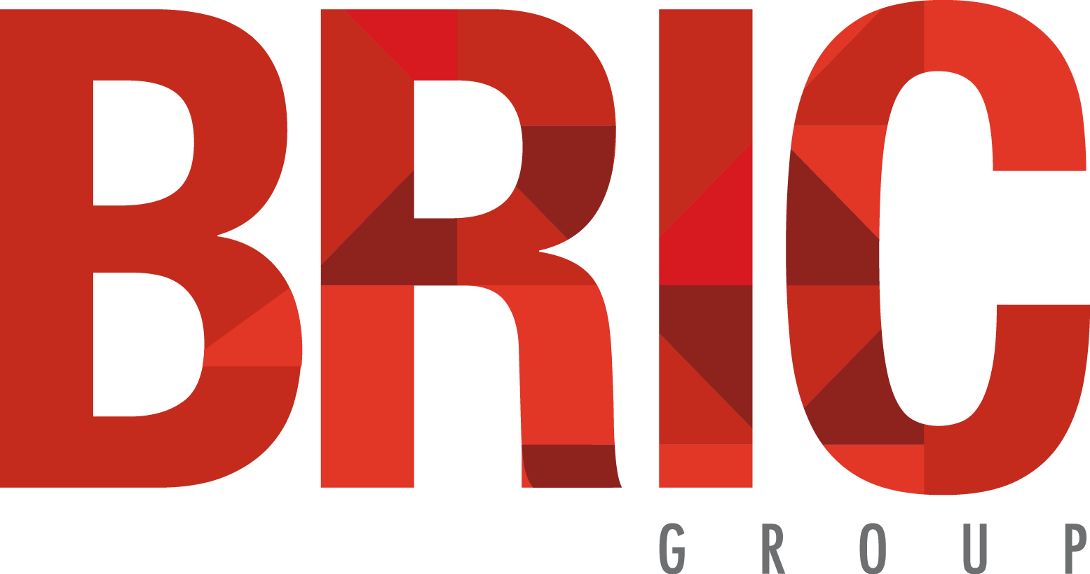 Bric Logo BRICS | Logopedia | Fandom