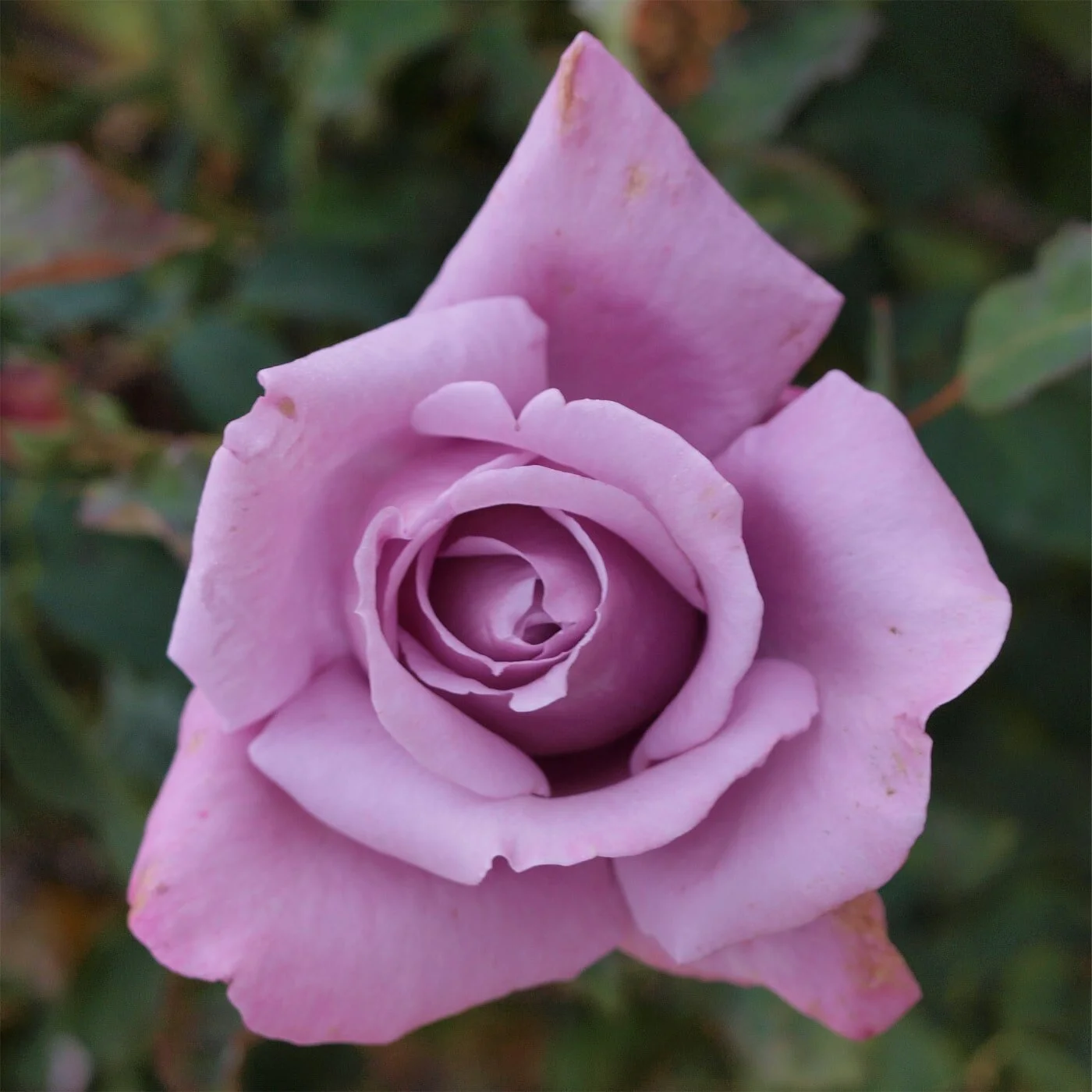 A Brief History of the Color Blue — Alphadesigner