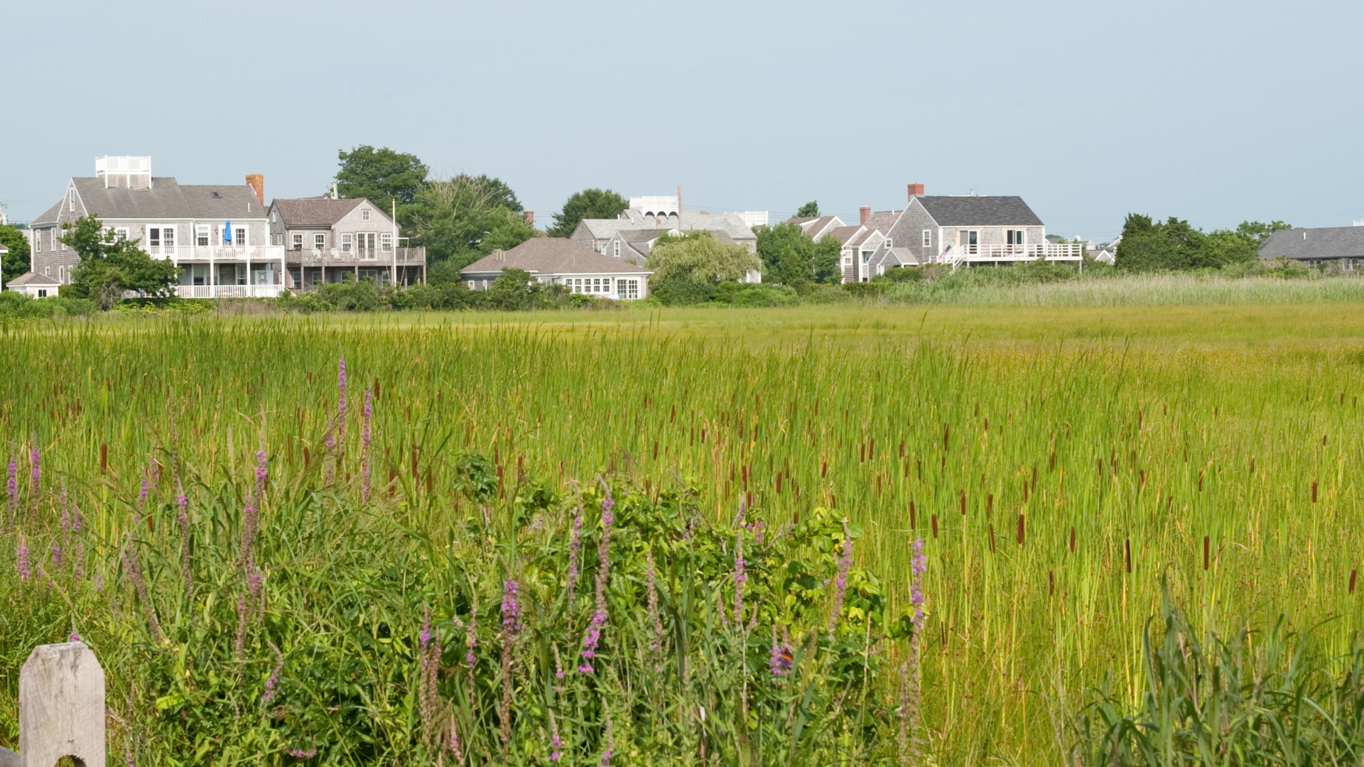 Nantucket PFAS Well Project — Nantucket PFAS Action Group