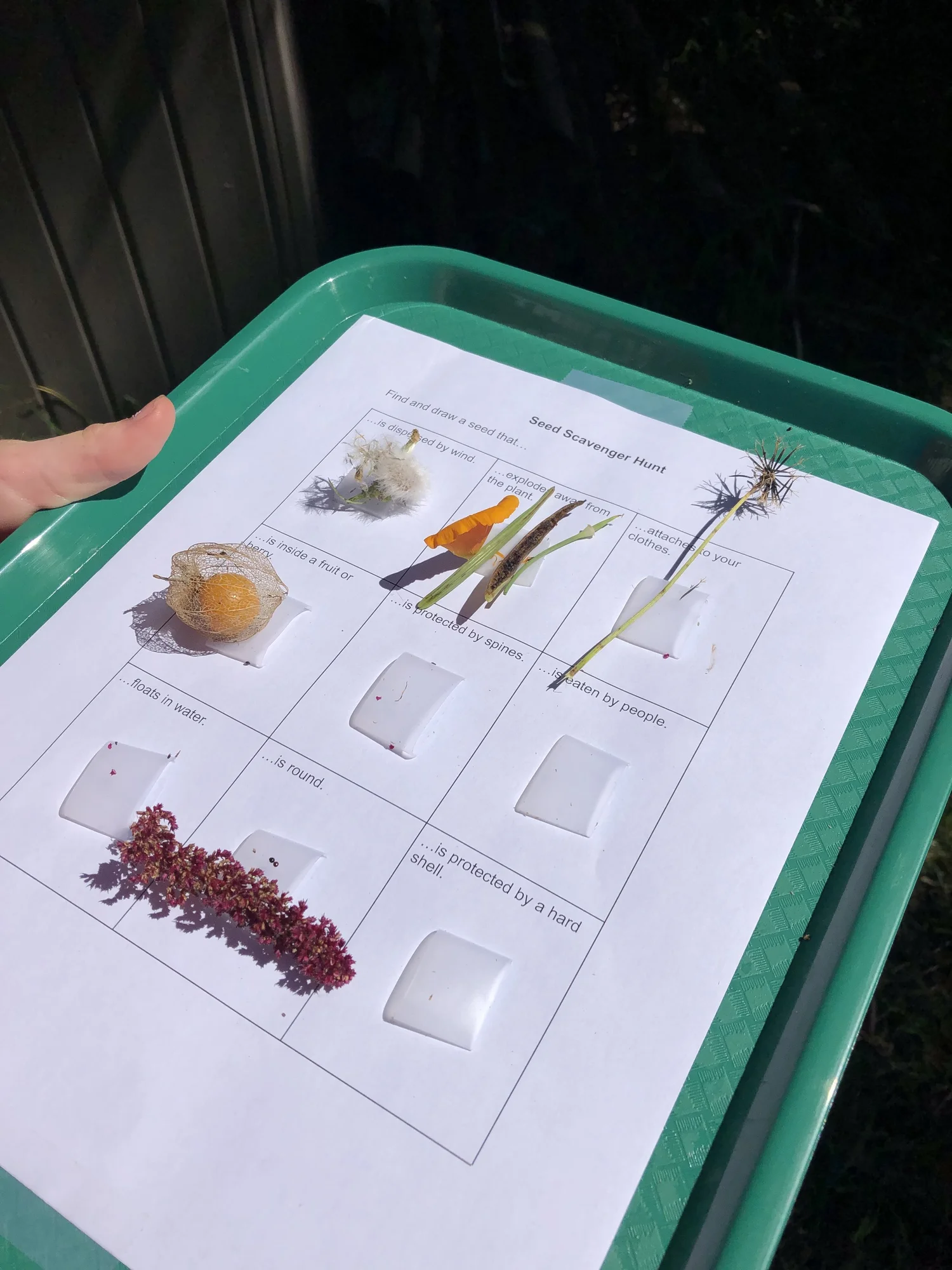 Summer Seed Camp 4H — Māla`ai & HISGN