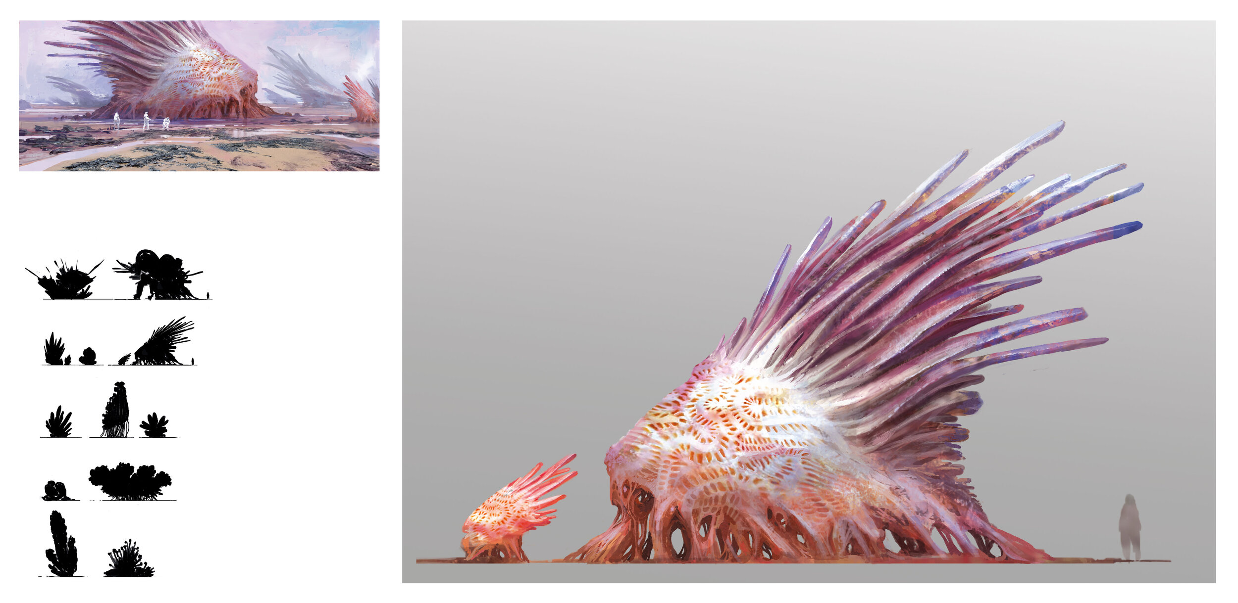 Alien Plants — alexander ostrowski