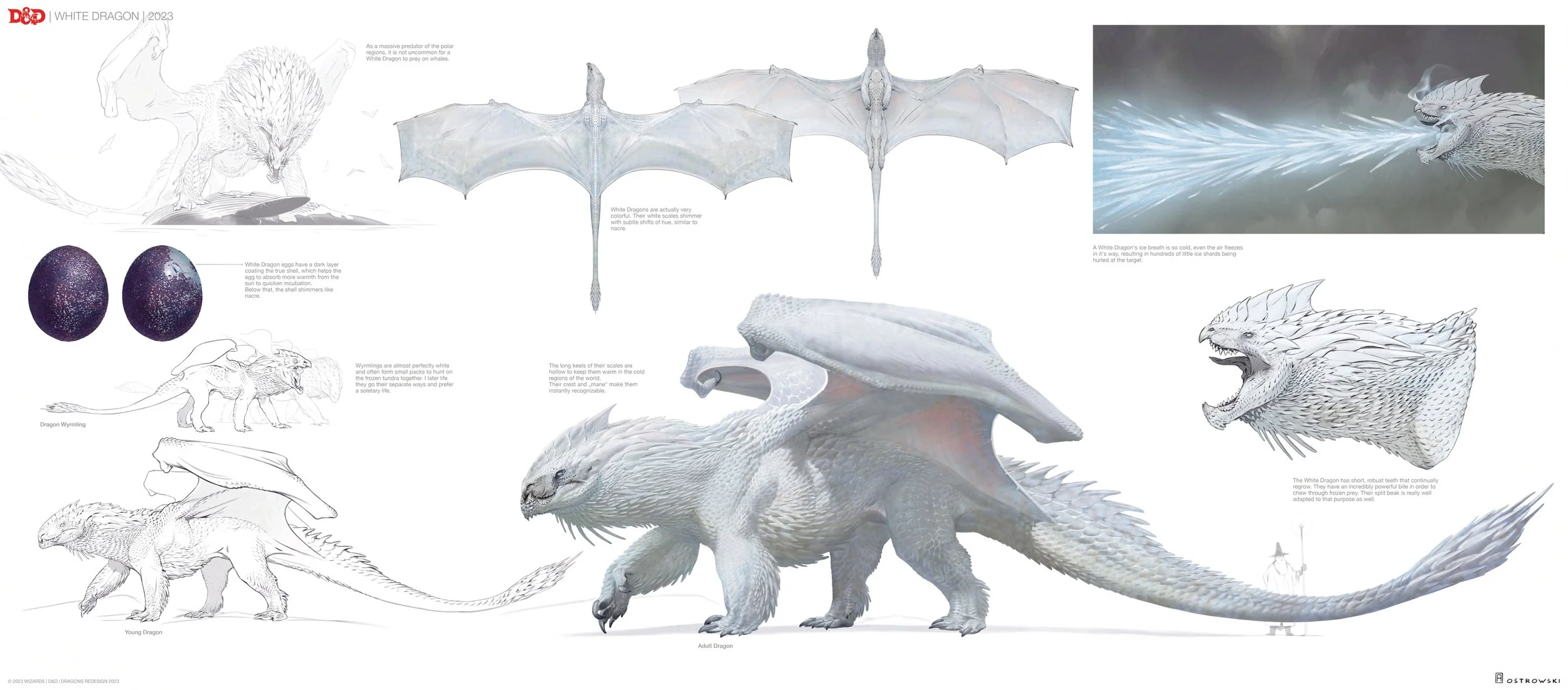 D&D 2024 chromatic dragons - alexander ostrowski — alexander ostrowski